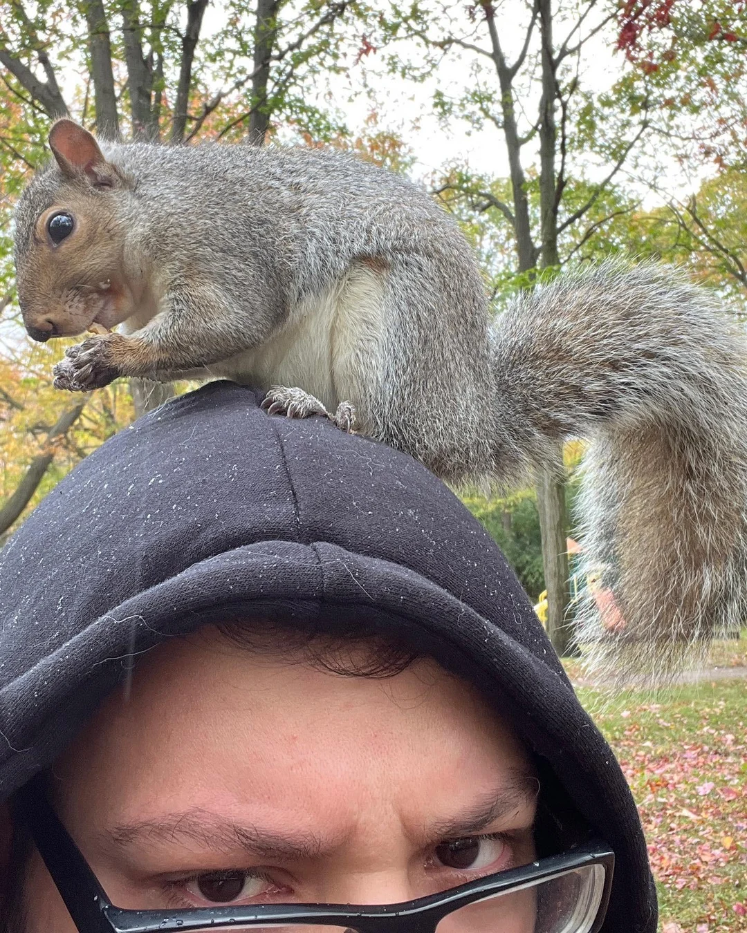 Samuel has the high ground | Scrolller