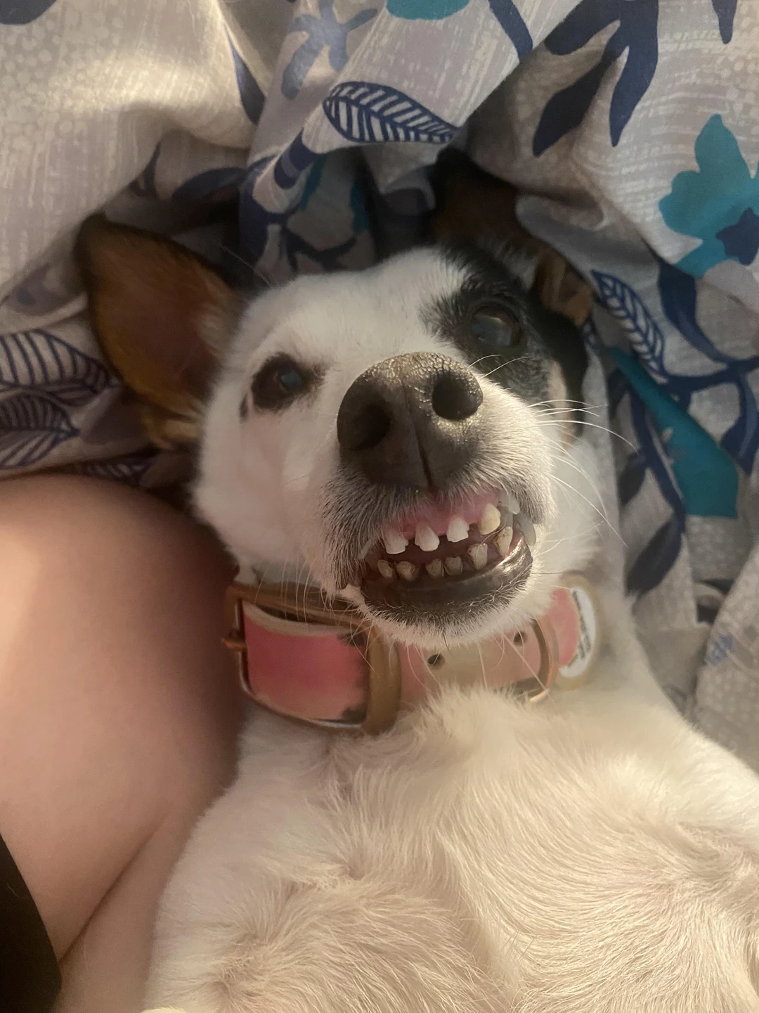 Sometimes her lip gets stuck | Scrolller