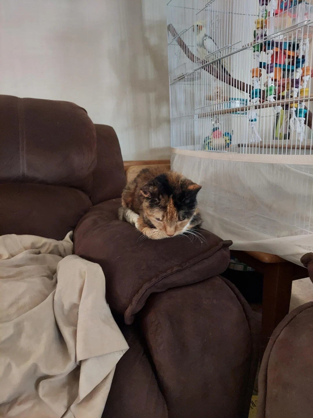 Well aged loaf | Scrolller