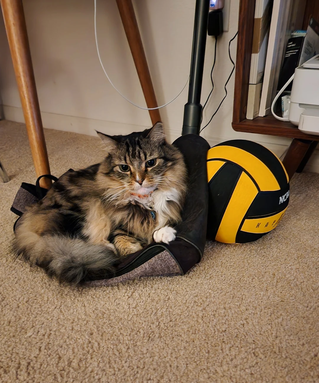 Nothing traps Ramsey like the water polo backpack | Scrolller