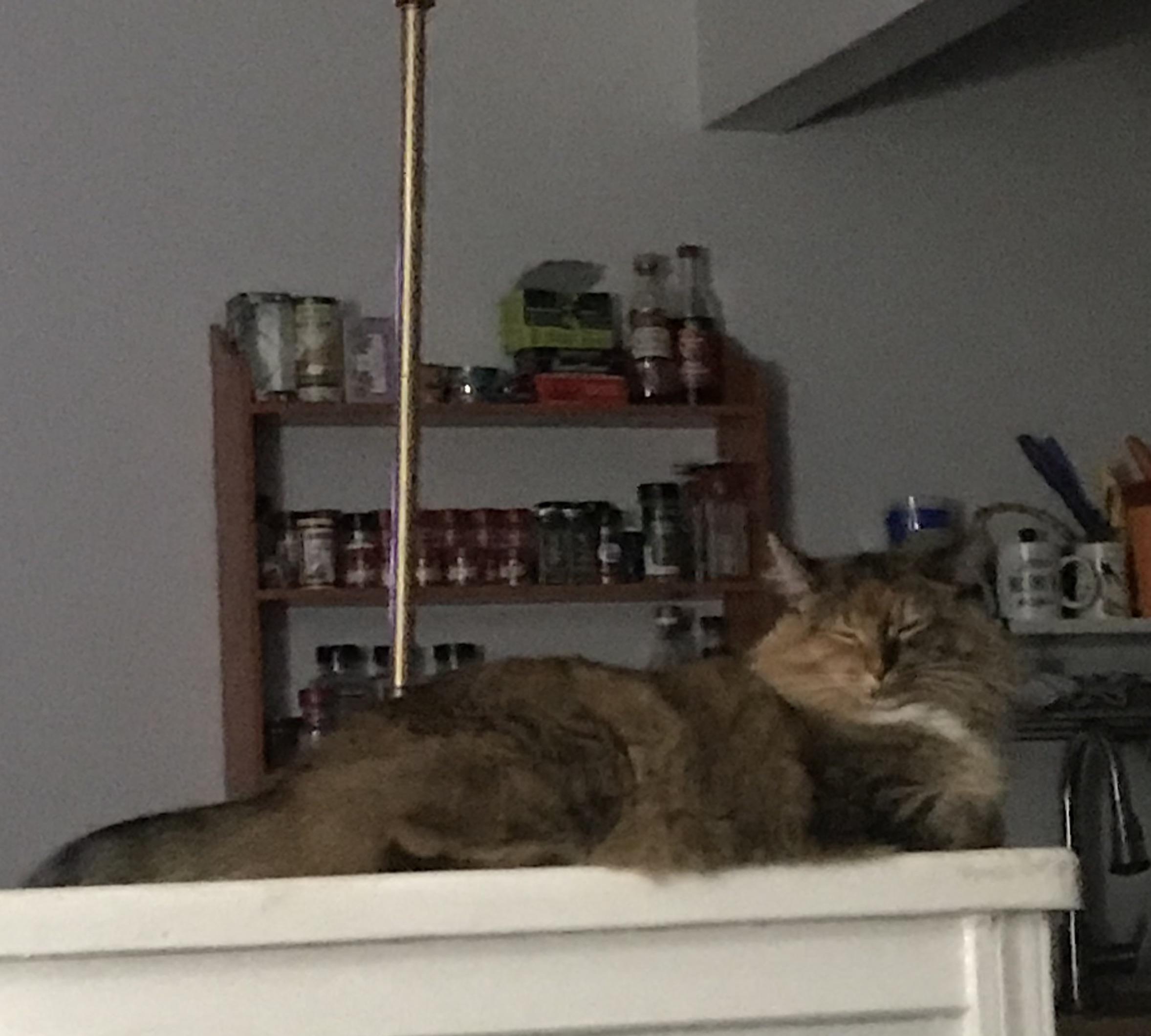 Katara Sleepy Princess Scrolller