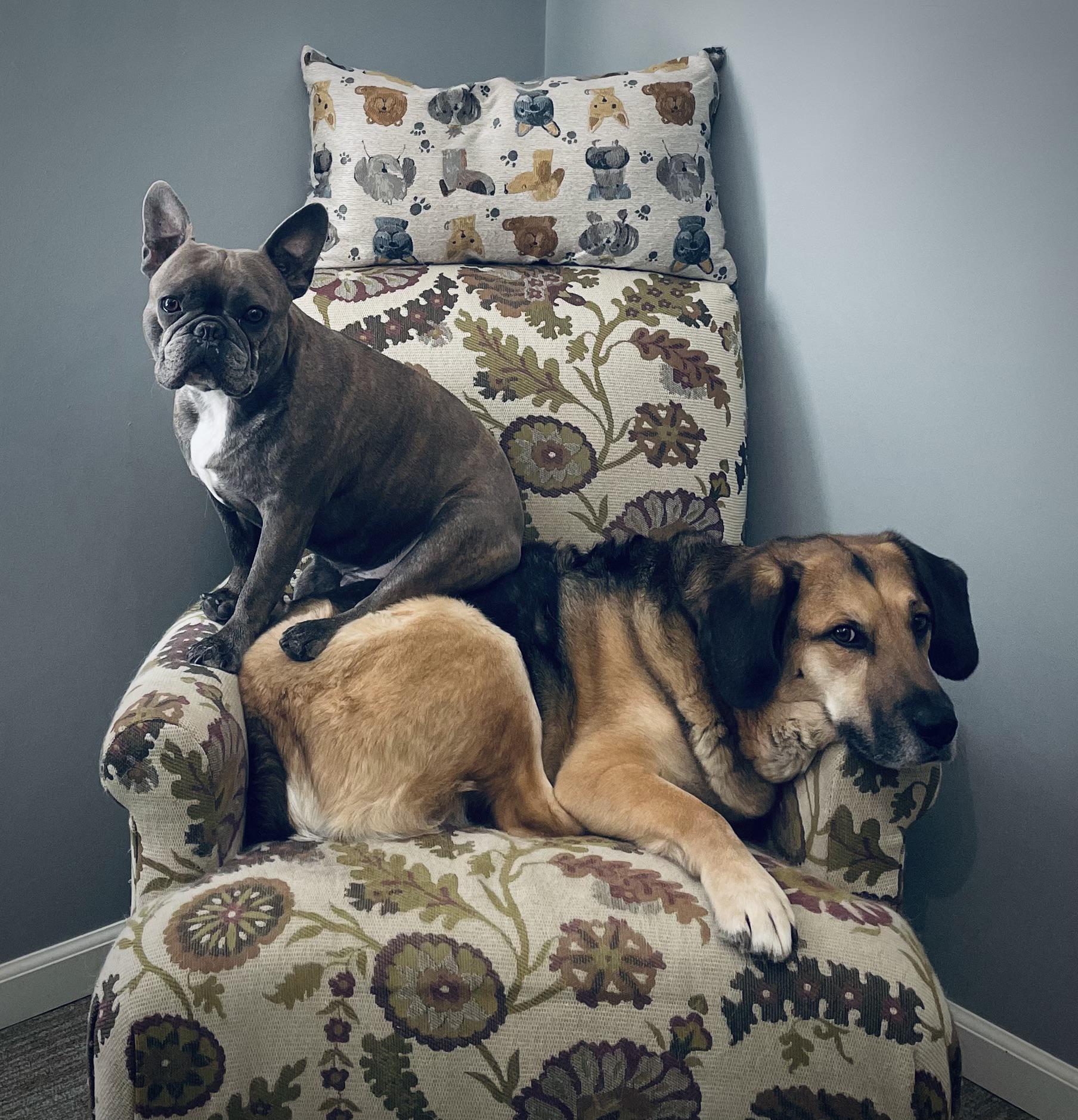 Bruce and O’Neill. Inseparable. | Scrolller