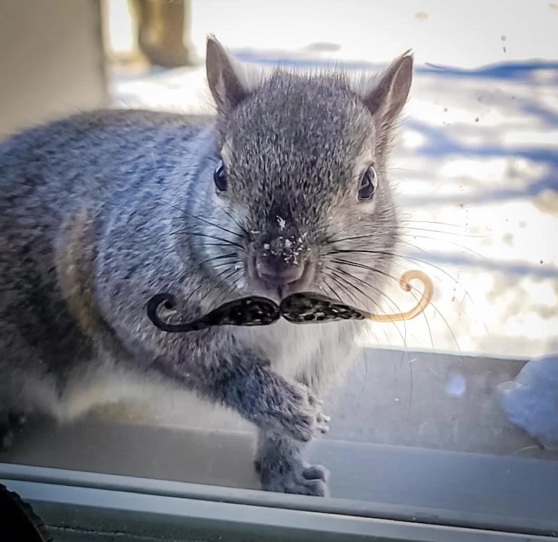 George With a Mustache | Scrolller