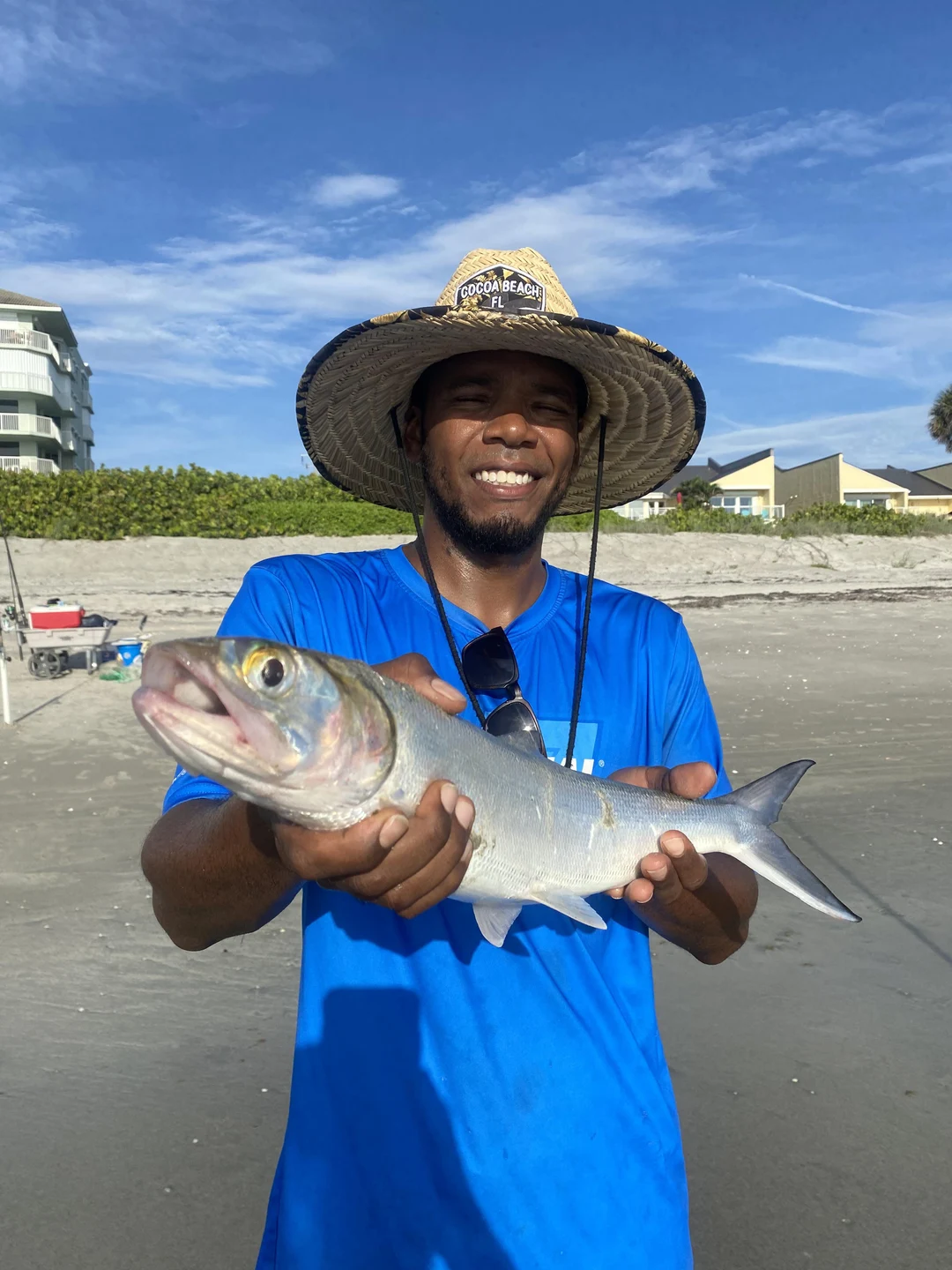 Lady fish | Scrolller