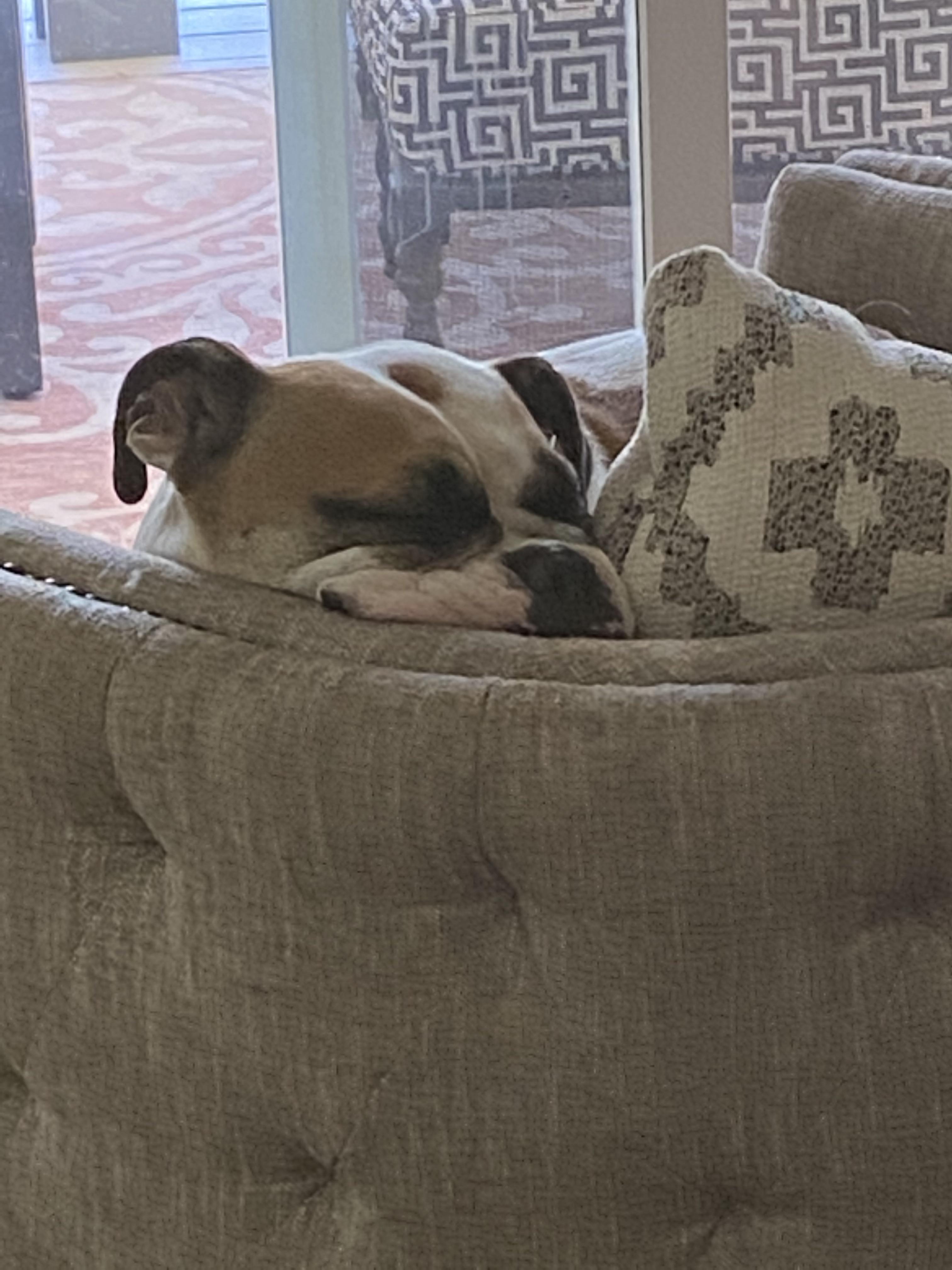 Sleepyhead | Scrolller