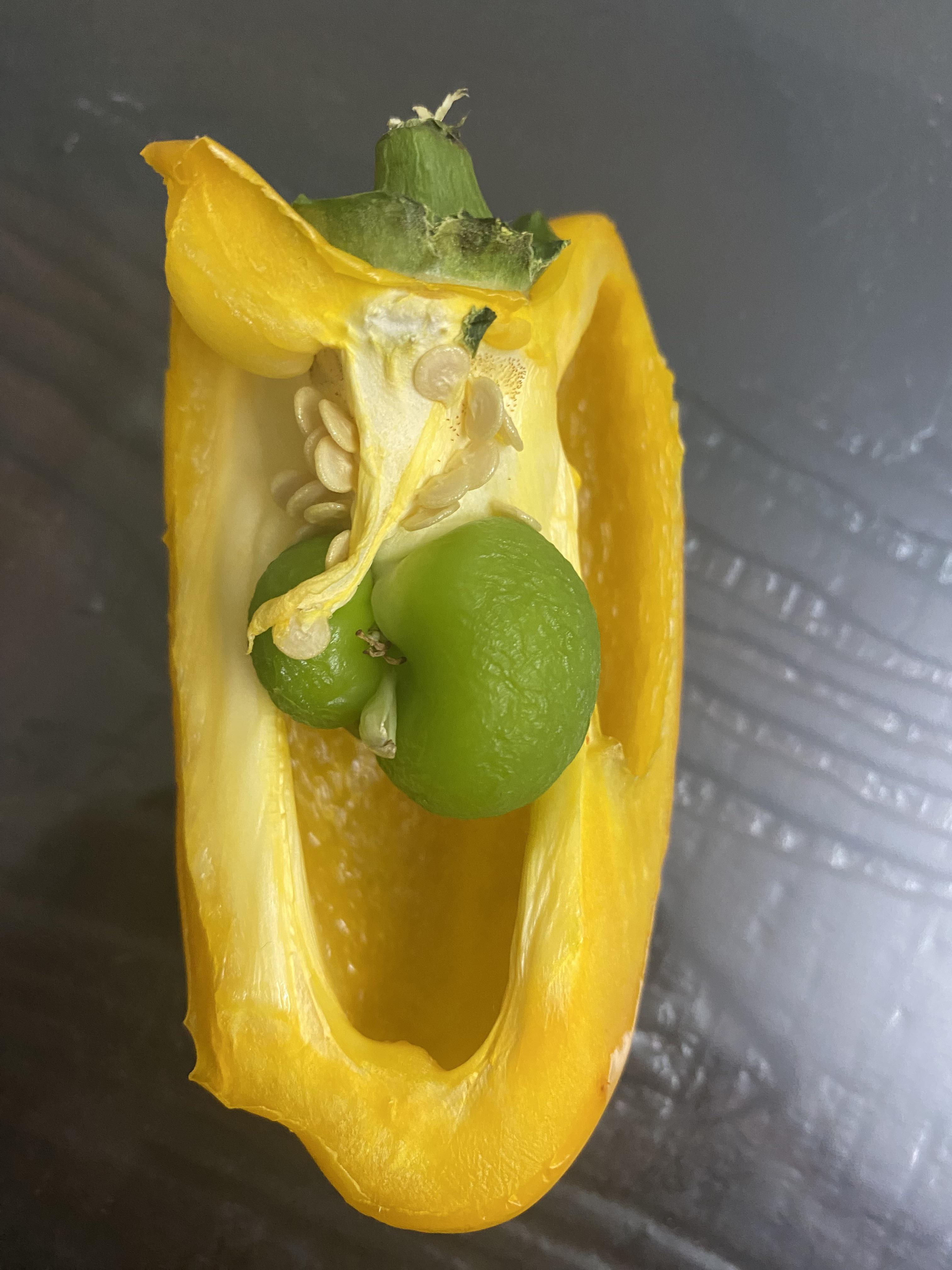 There’s a pepper inside my pepper! | Scrolller