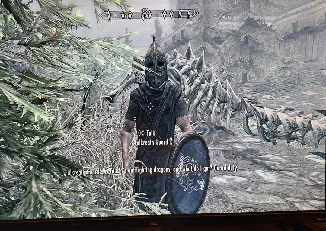 Was fighting a dragon in Falkreath when this guard showed up and killed it then he walked up to ...