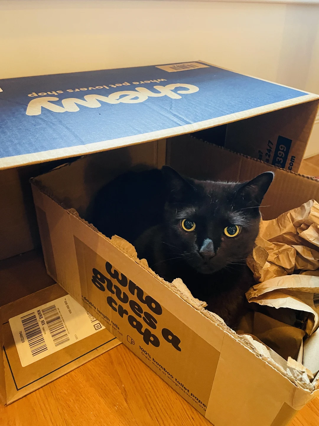 This trap is a collaboration brought to you by Chewy + Who Gives A Crap | Scrolller