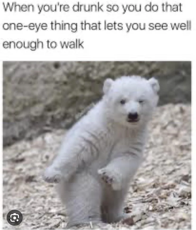 Guilty 😂 | Scrolller