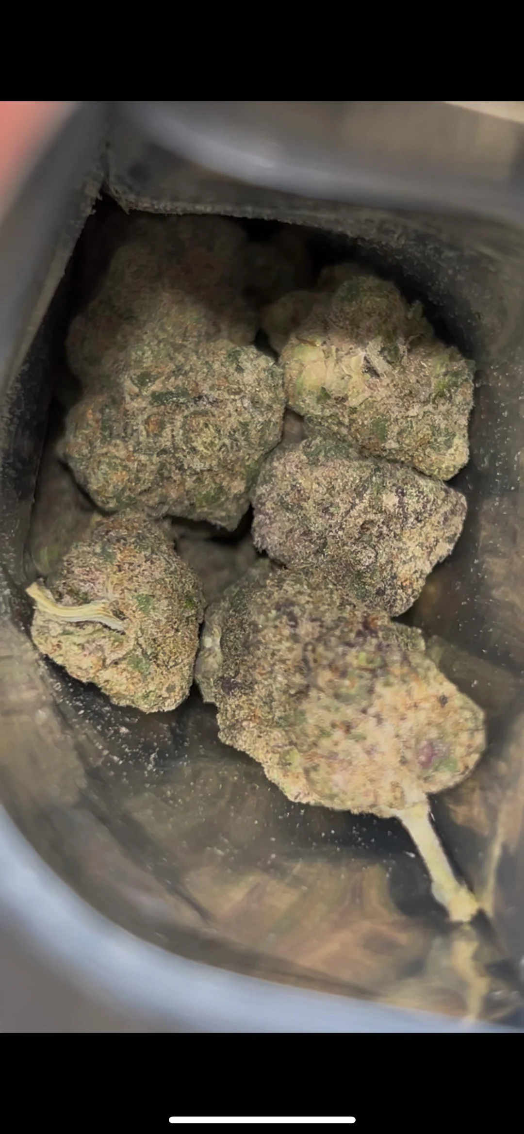 My plugs weed why does it | Scrolller