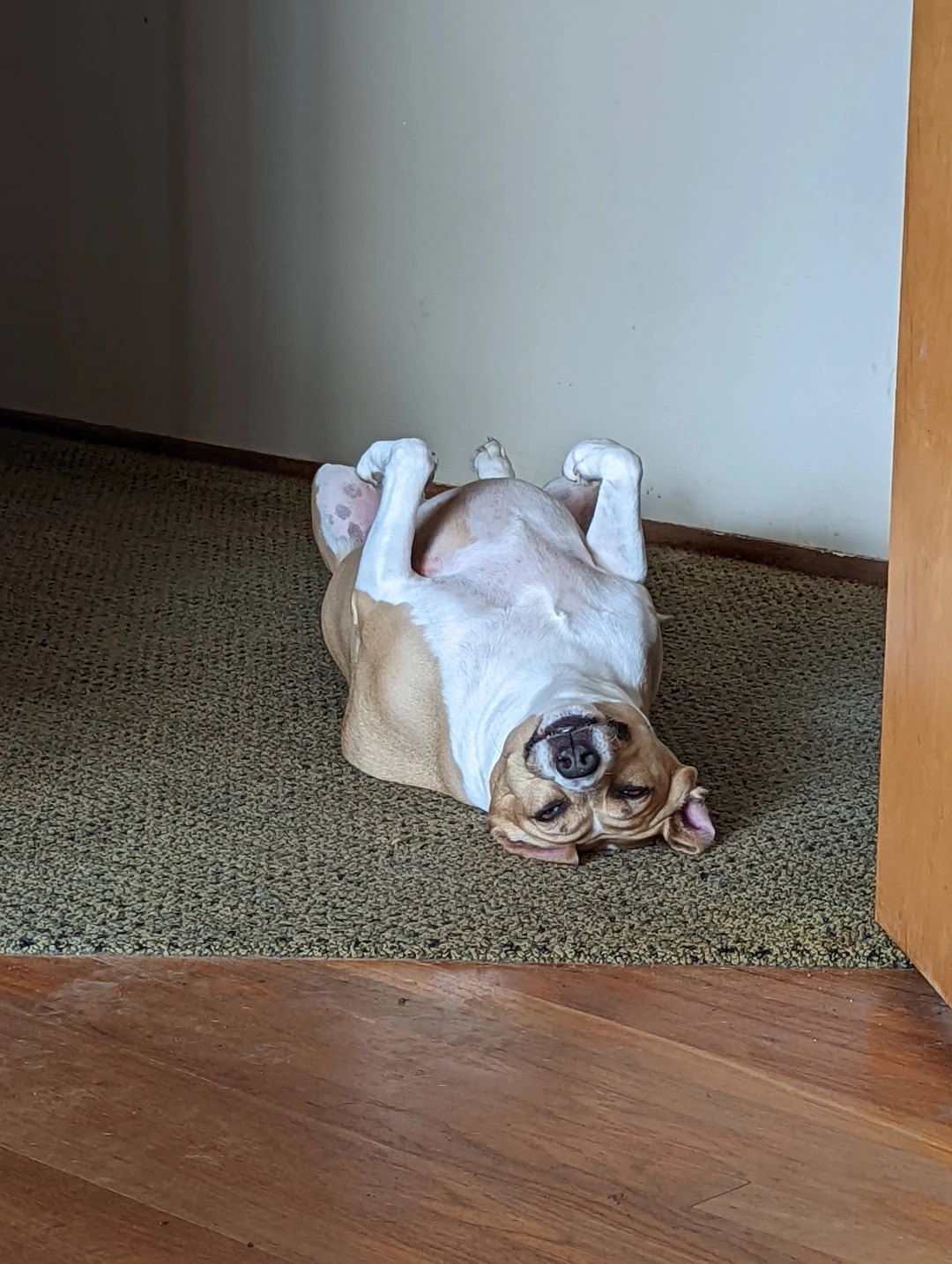 I just looked over, and this is how she was sleeping | Scrolller