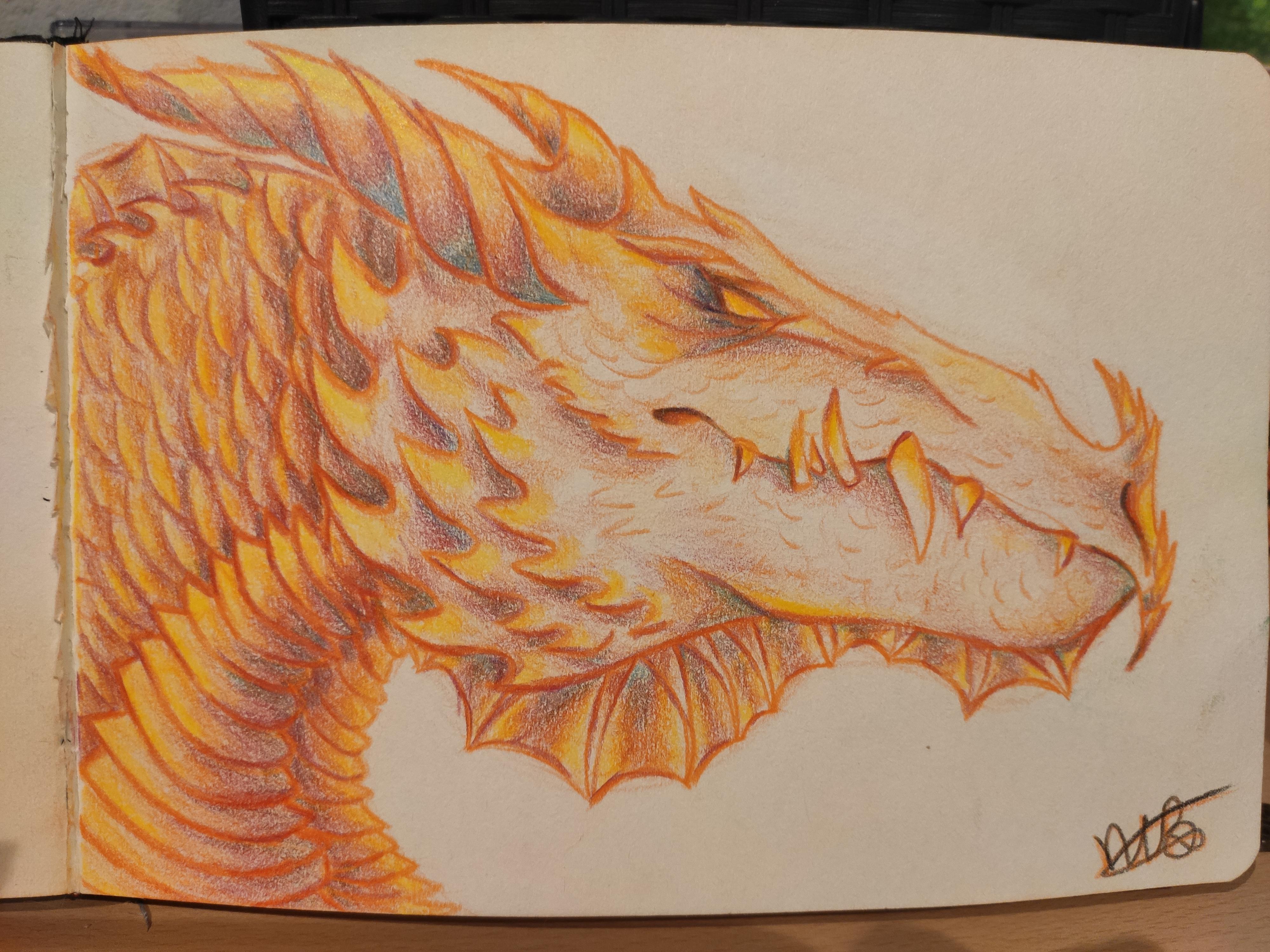 Colorful dragon I drew :) | Scrolller