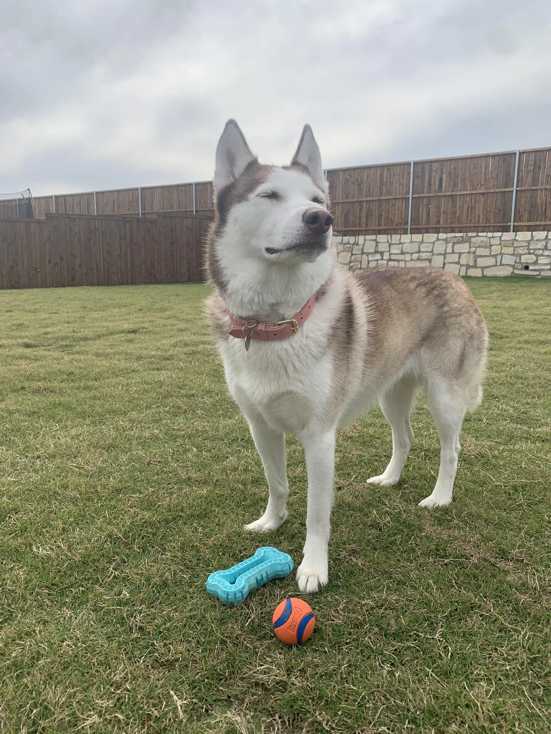 Early morning sniffs hit different | Scrolller