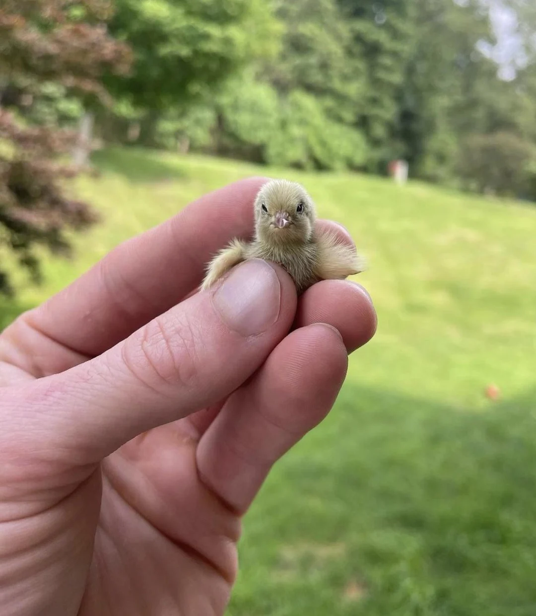 The smallest 🥺 | Scrolller