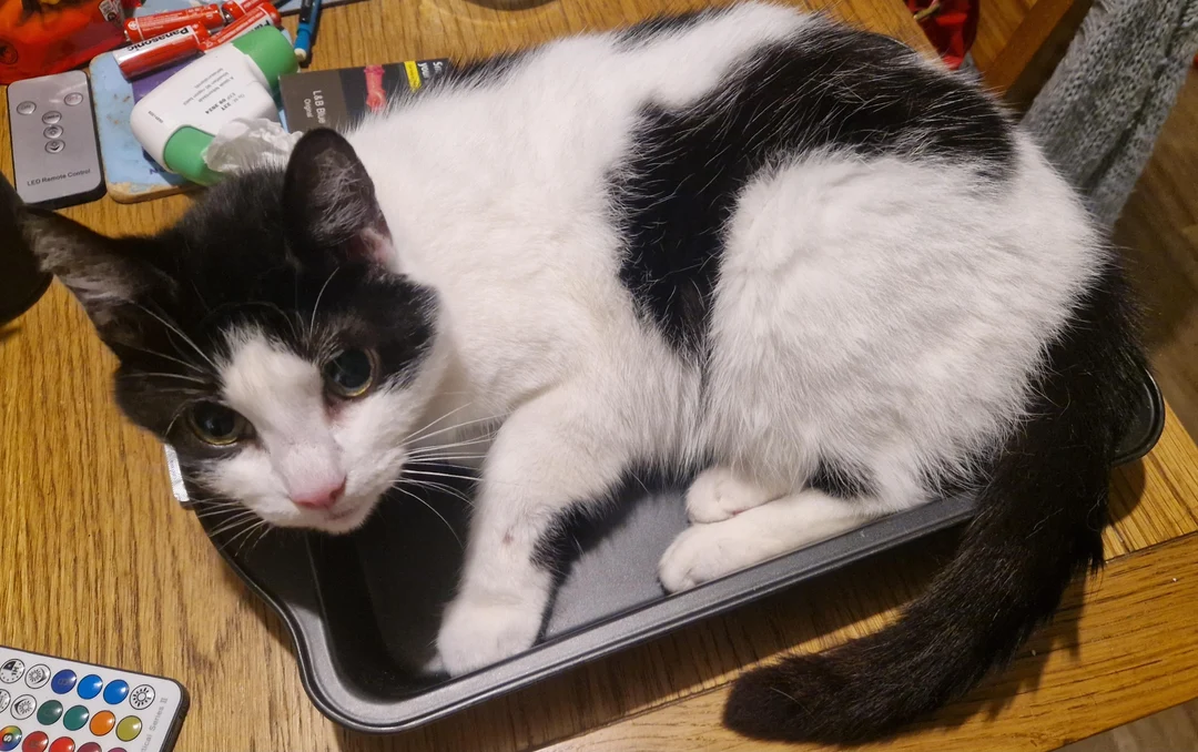 I was going to make flapjacks | Scrolller