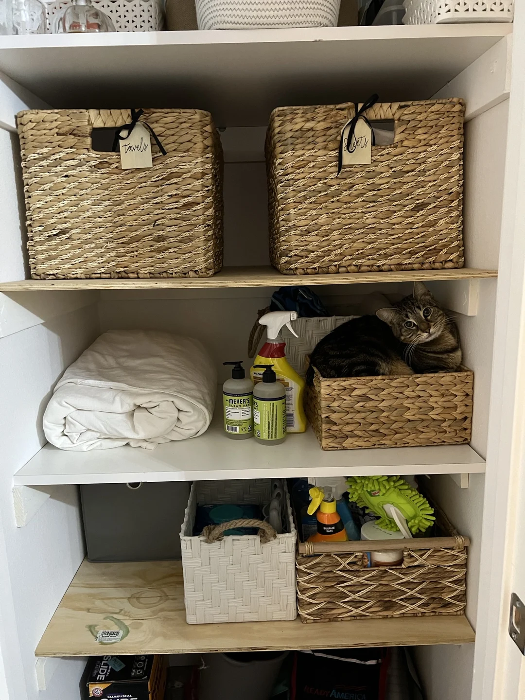 Where’s Nebula? | Scrolller