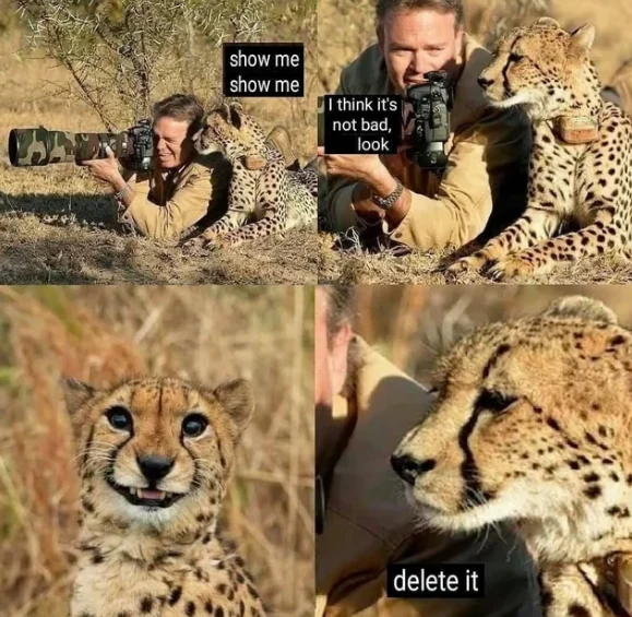 Strike a pose | Scrolller