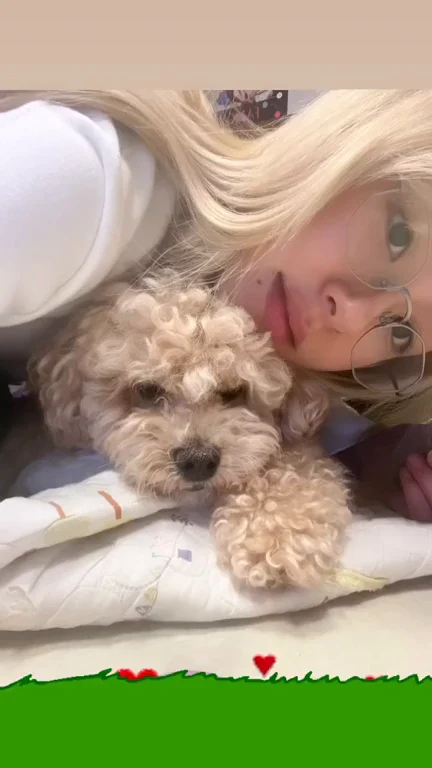 230216 Chaeyoung Instagram Story Update - Cuddly Chaeyoung | Scrolller