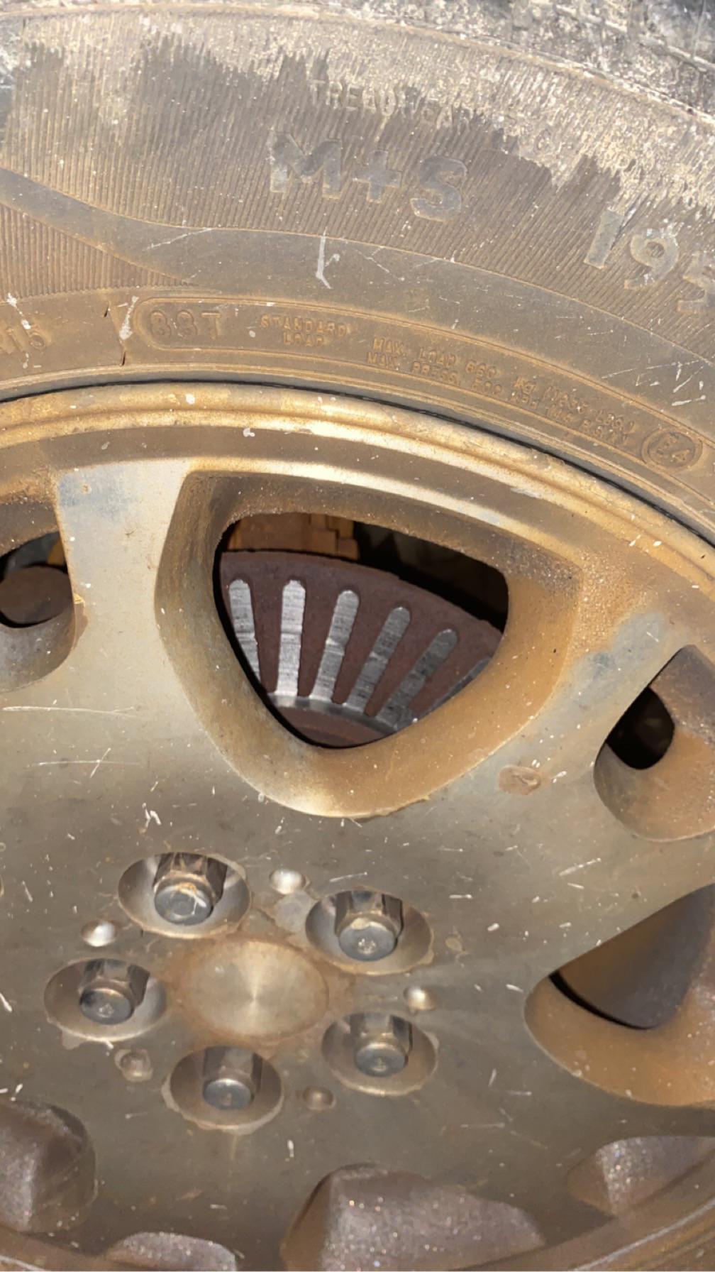 How does this happen? | Scrolller