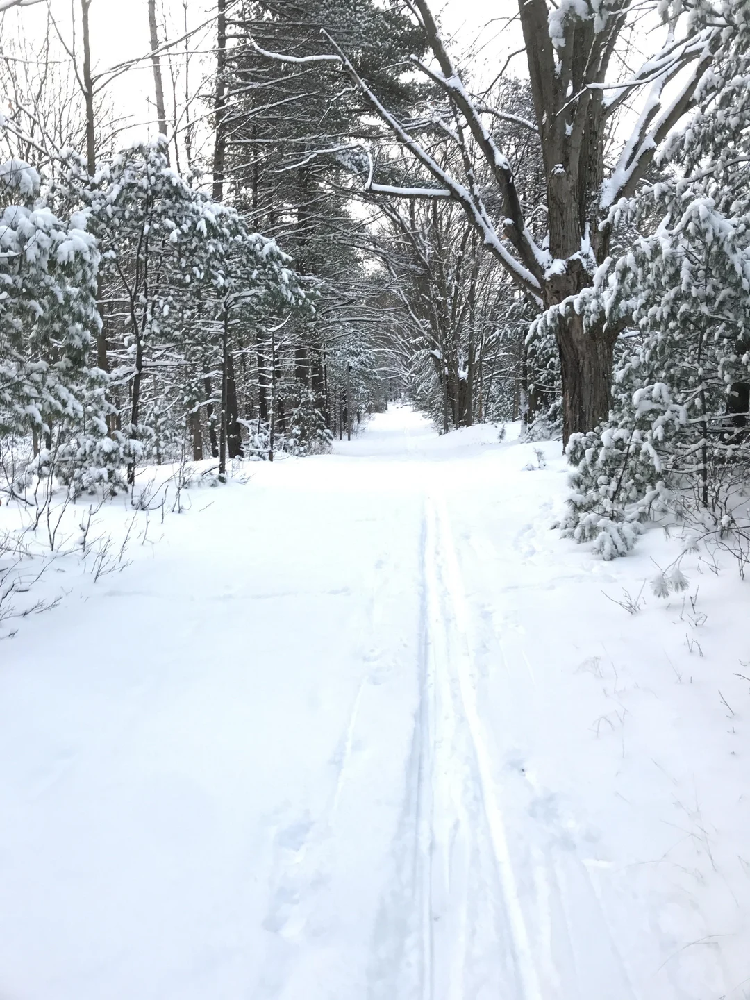 Fresh Snow for West Michigan | Scrolller