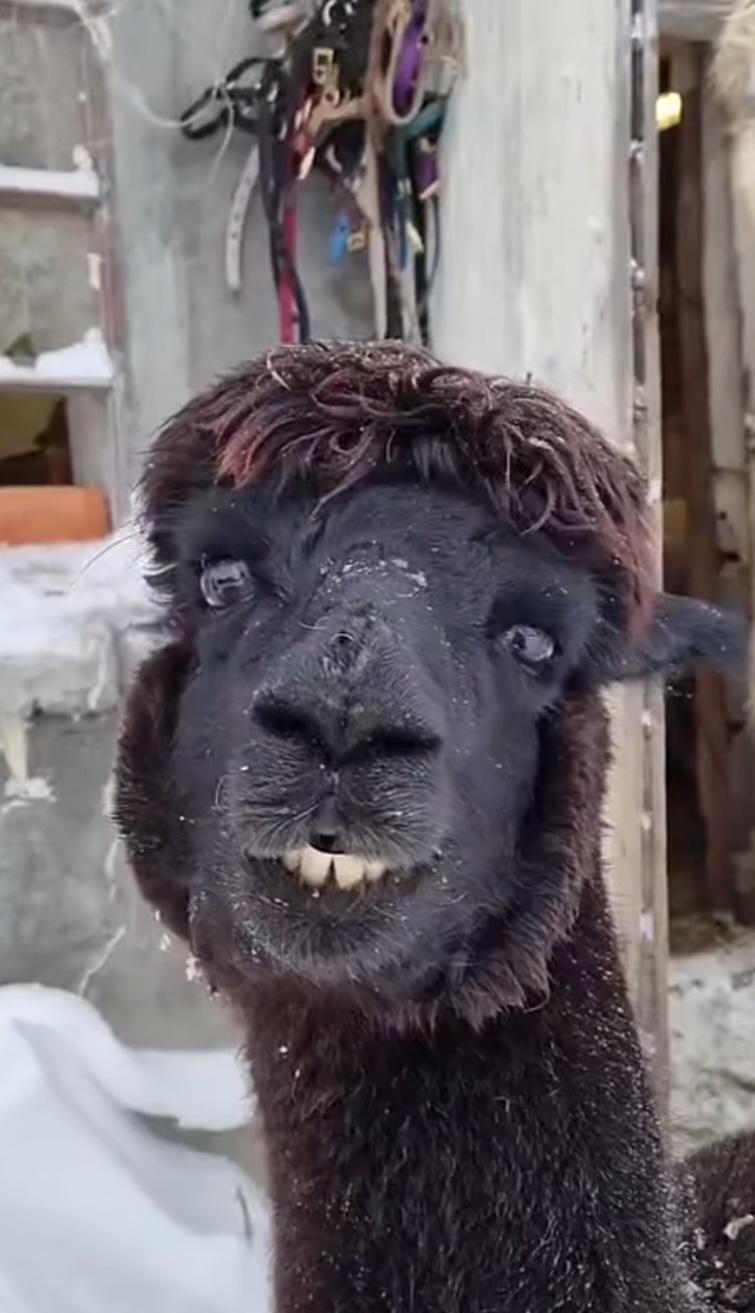 Stare Into My Eyes Scrolller