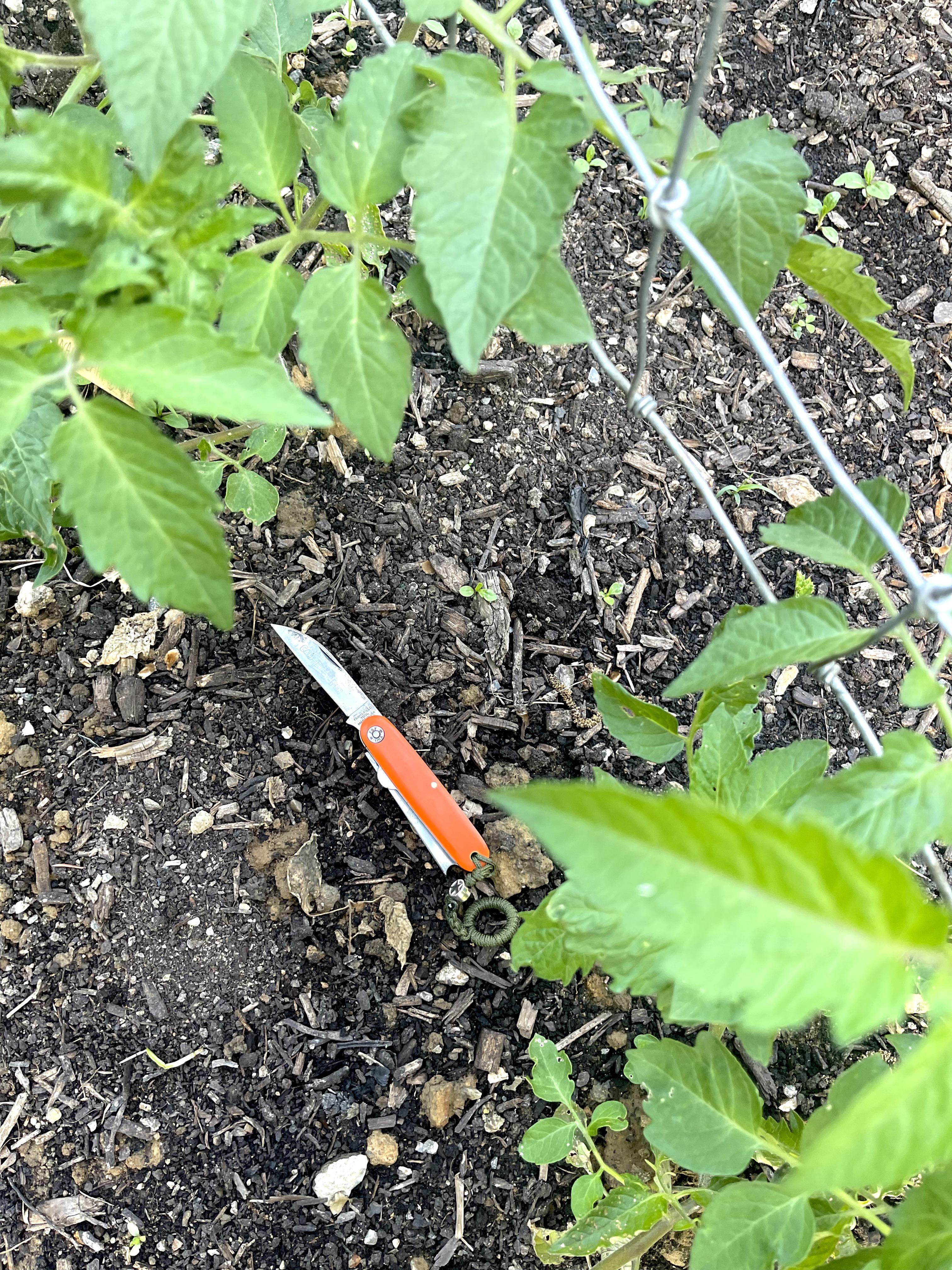 Tools, not jewels. | Scrolller