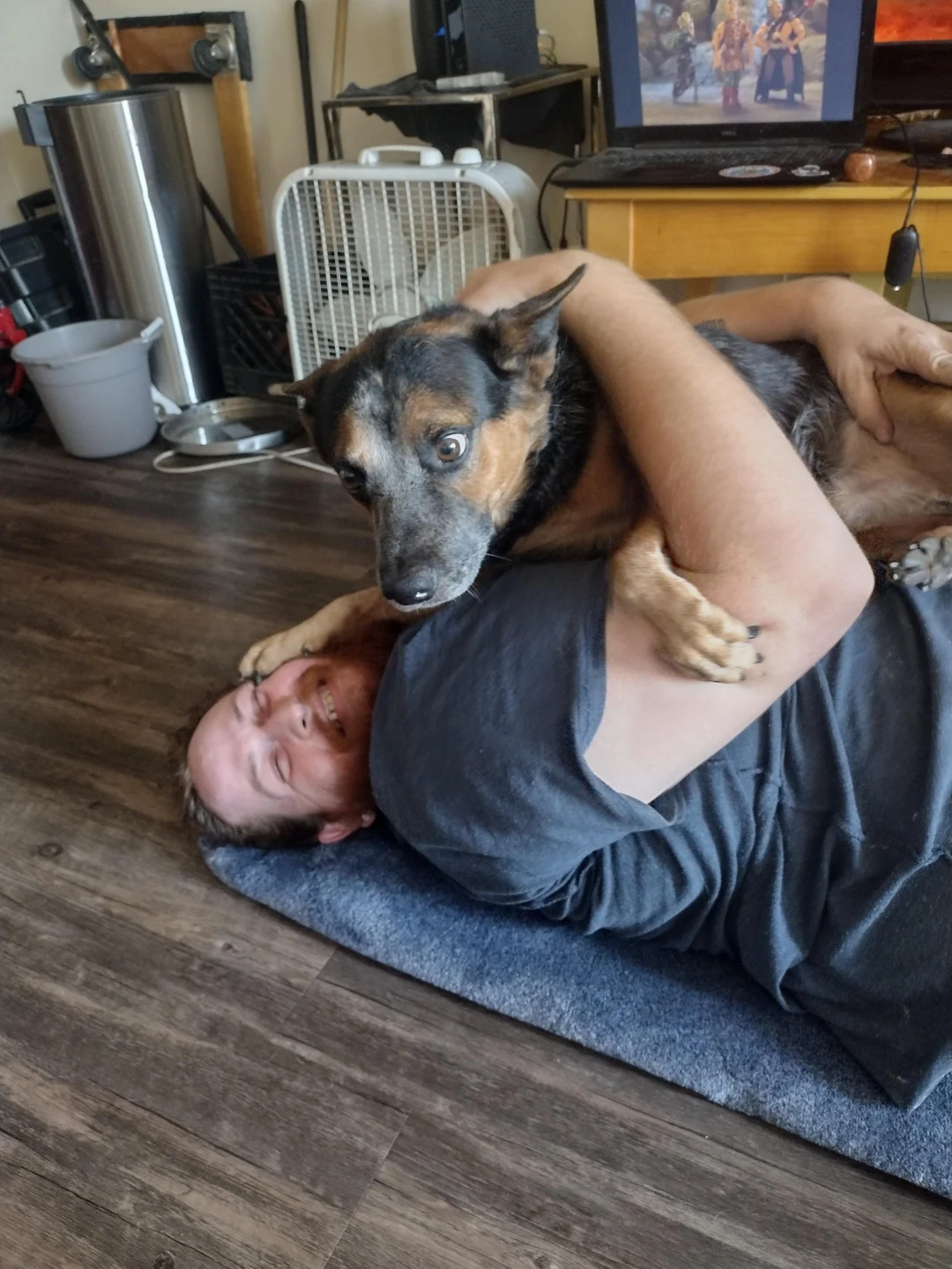 My partner and my dad's dog playing. | Scrolller