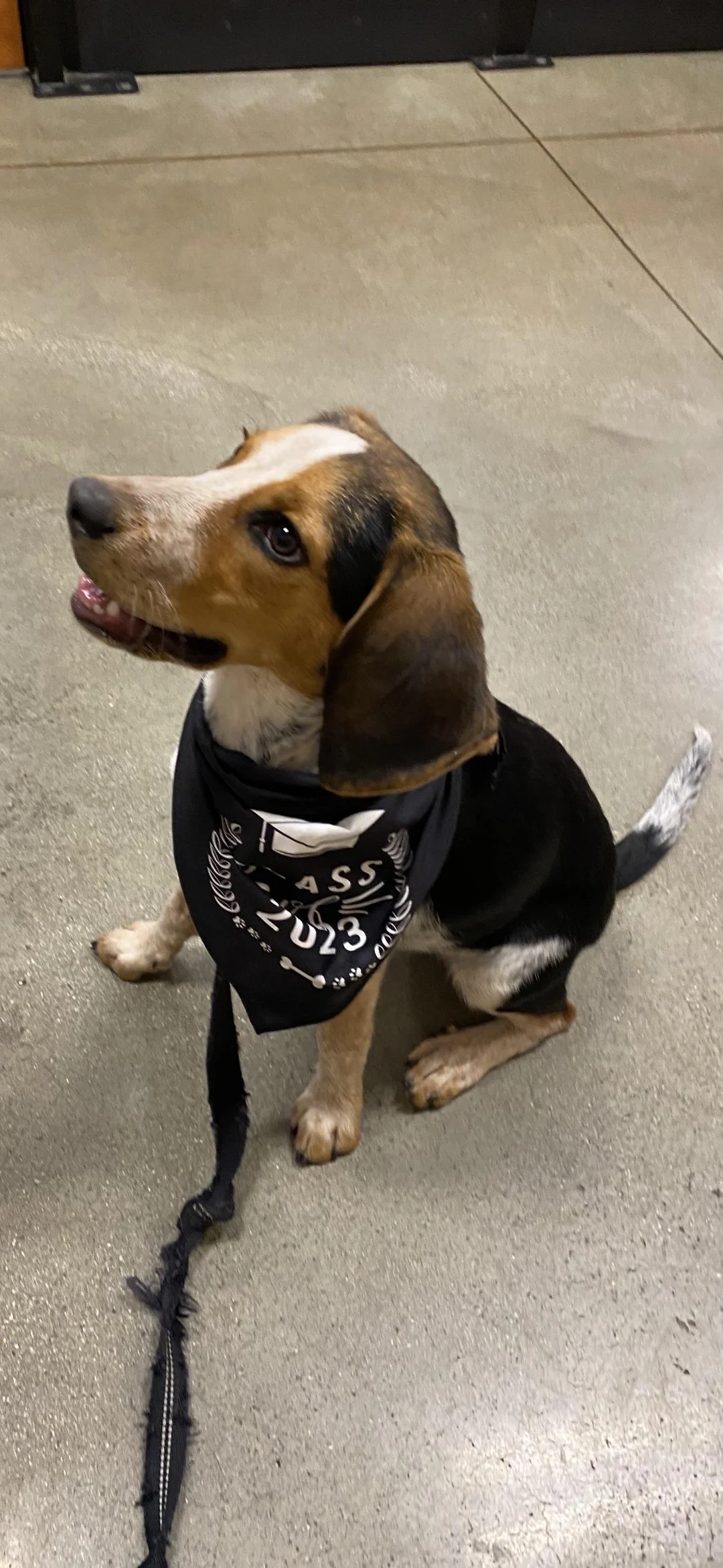 Ming smiling at graduation | Scrolller