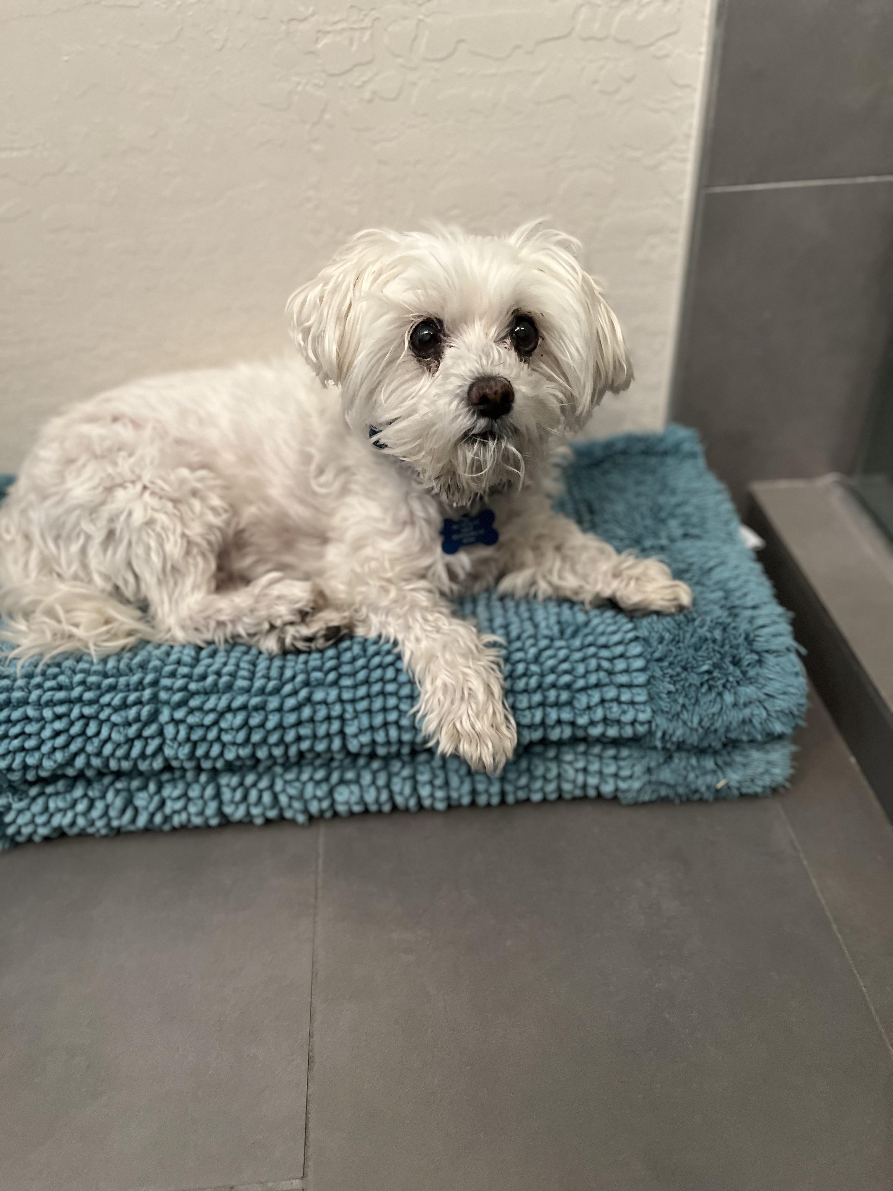 Another torn ACL, please read below | Scrolller