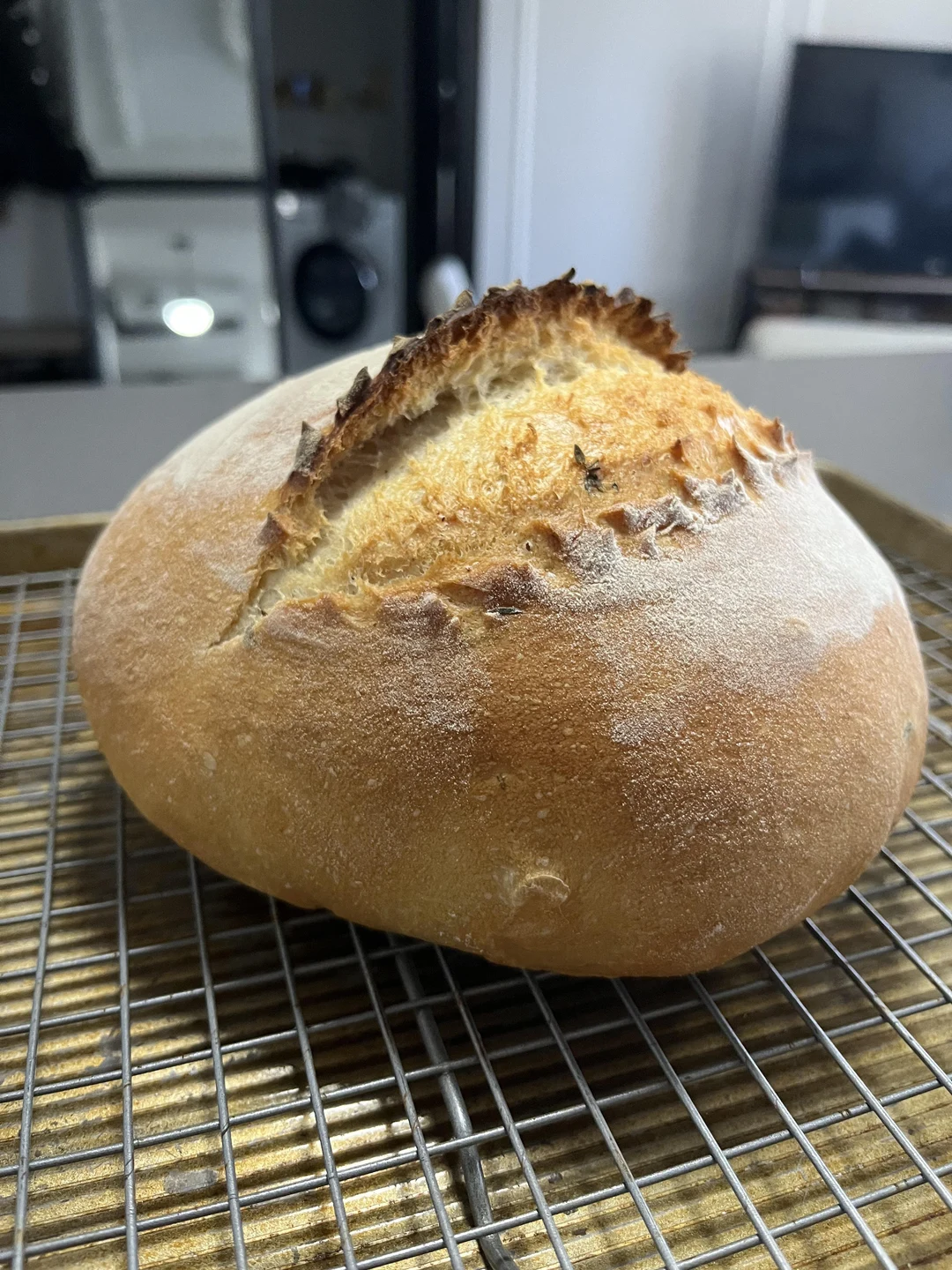 Finally getting the hang of scoring. | Scrolller