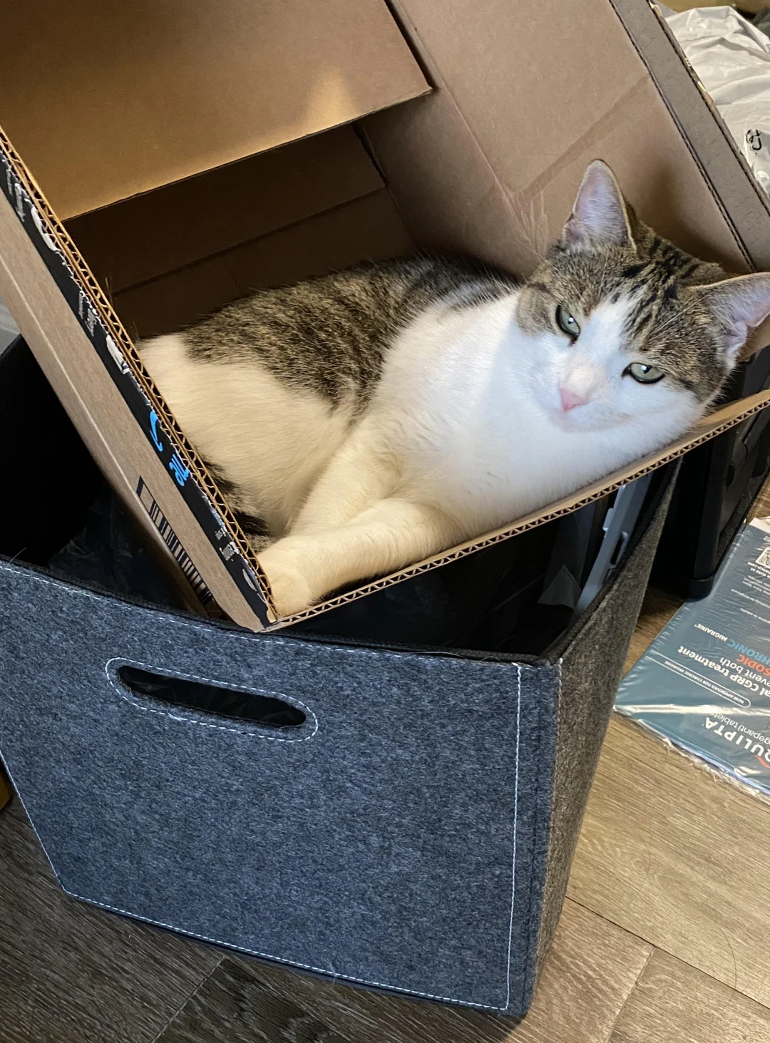 Sideways trap | Scrolller