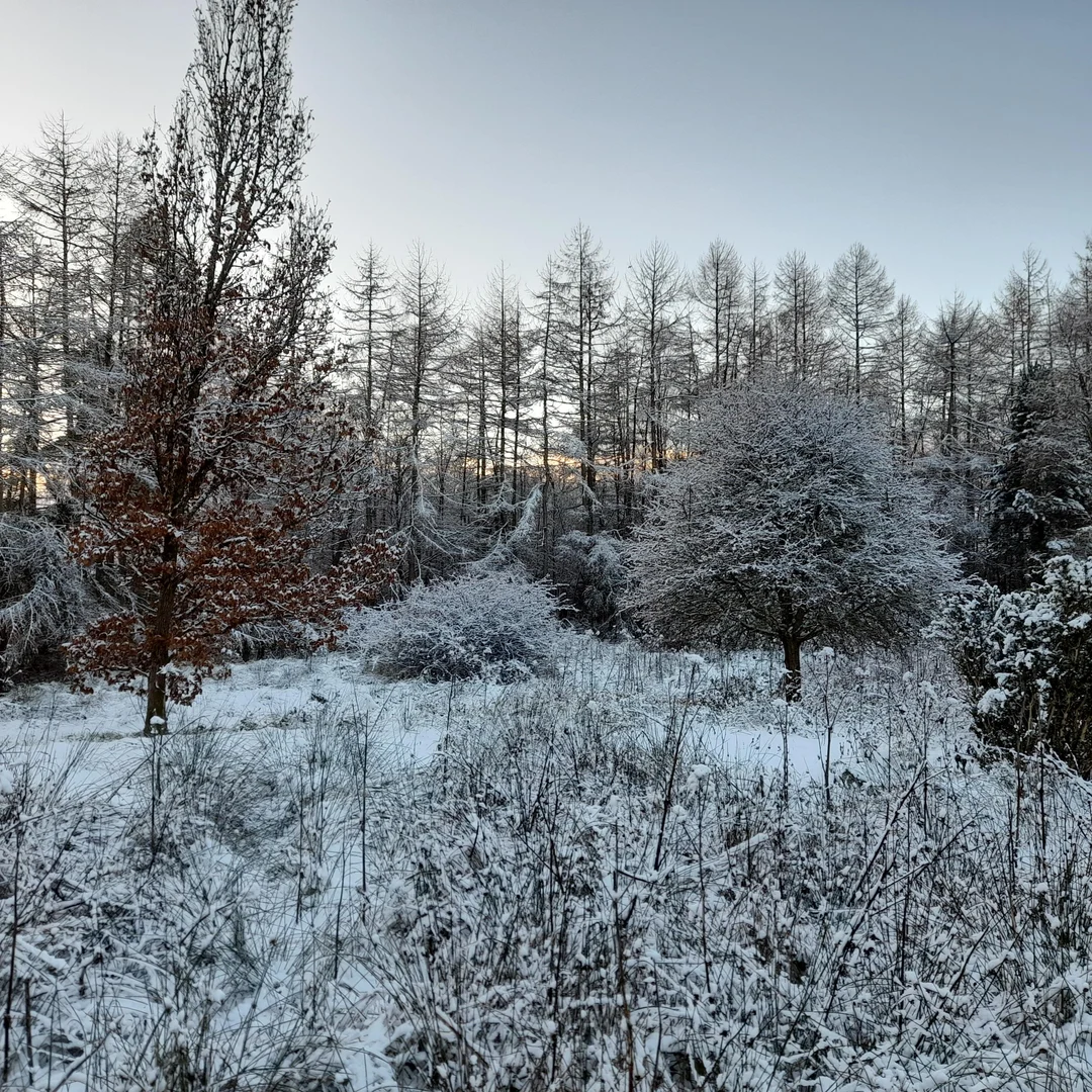 I love winter | Scrolller