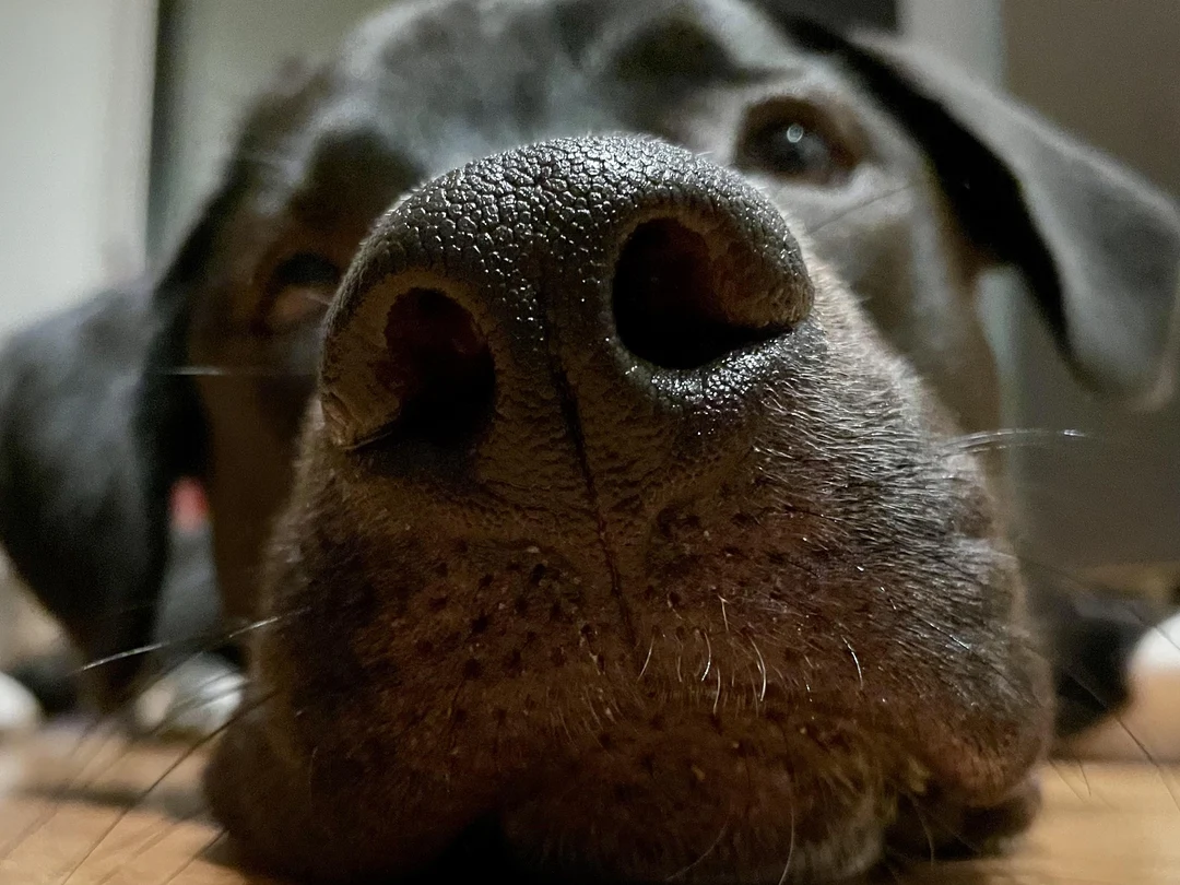 Deep in thought | Scrolller