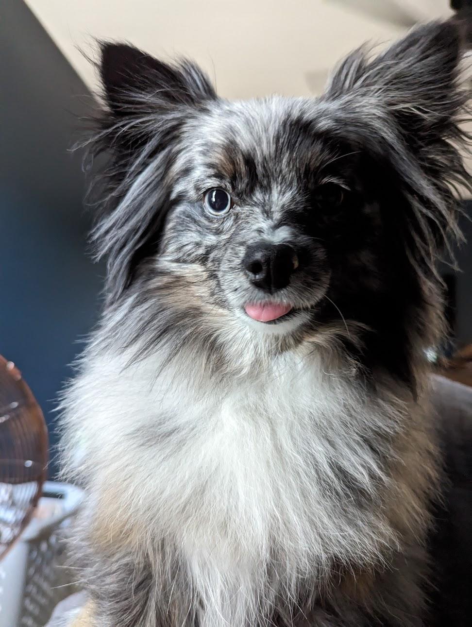 Agitha is a little derpy... | Scrolller