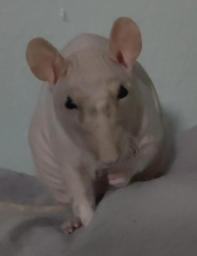 What made her clench a fist of rage? | Scrolller