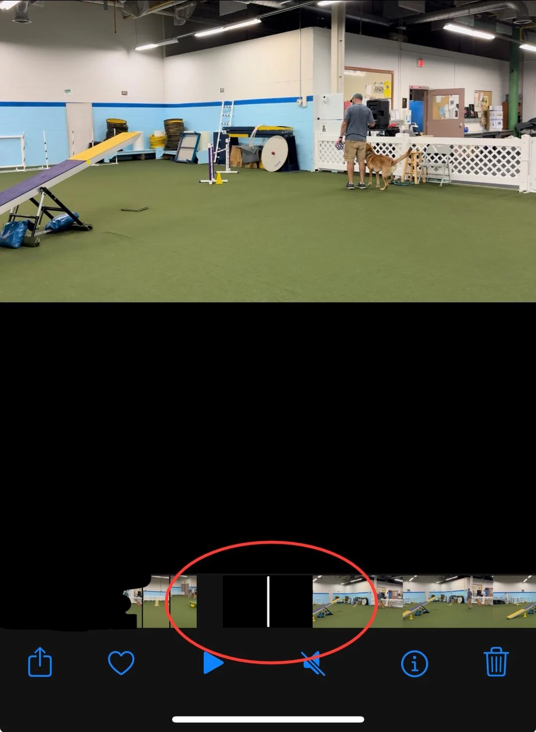 Video Slider Black at Beginning of Video | Scrolller