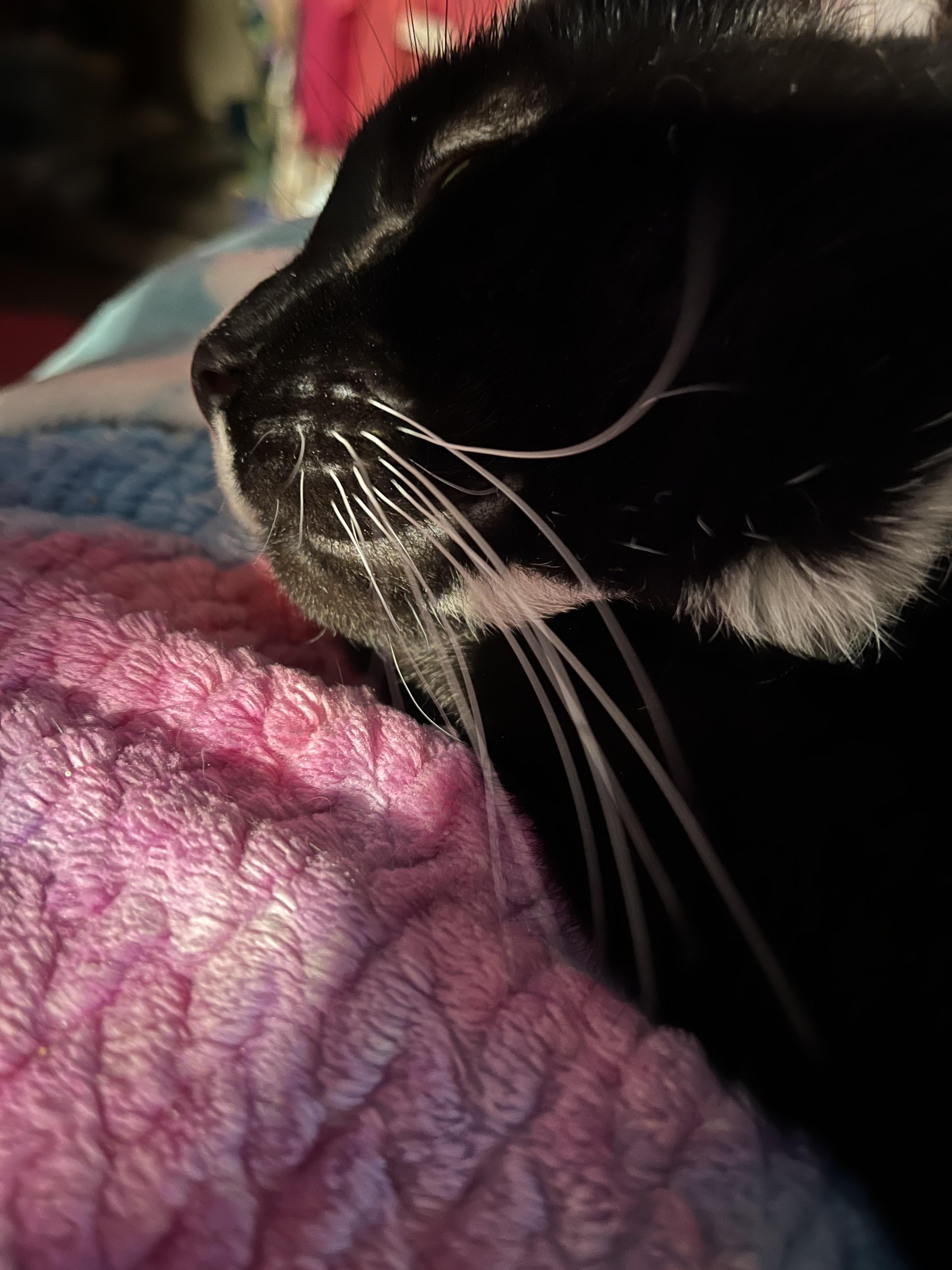 All smiles and ready for bed!!! | Scrolller