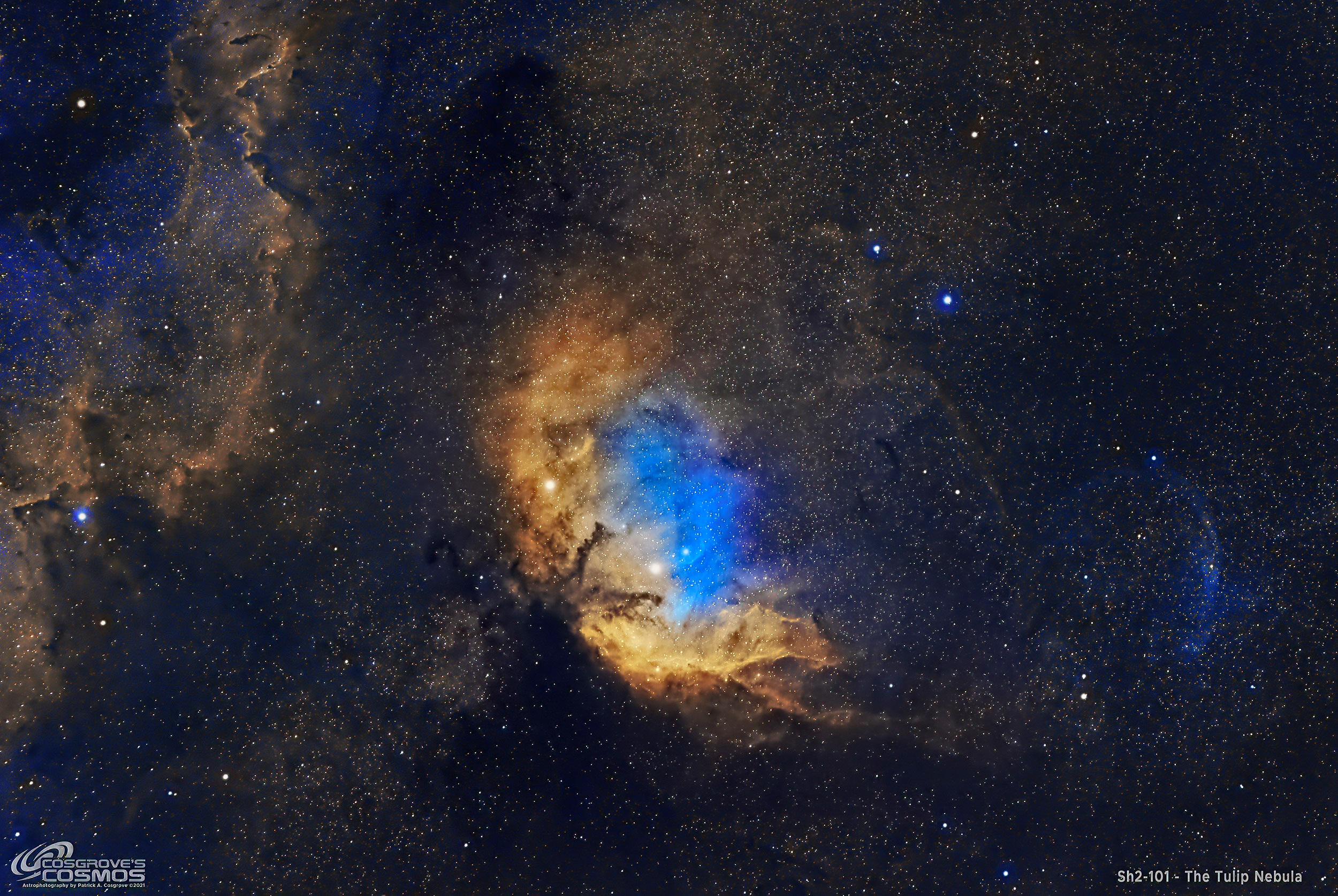 Tulip Nebula ( part 2 ) | Scrolller