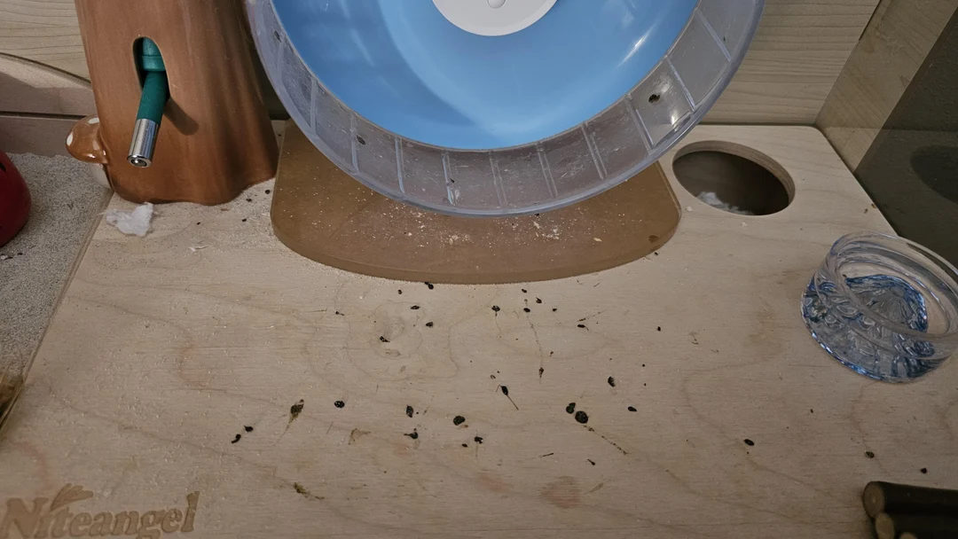 Question | Scrolller