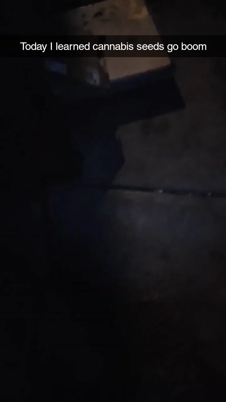 My weed exploded. | Scrolller