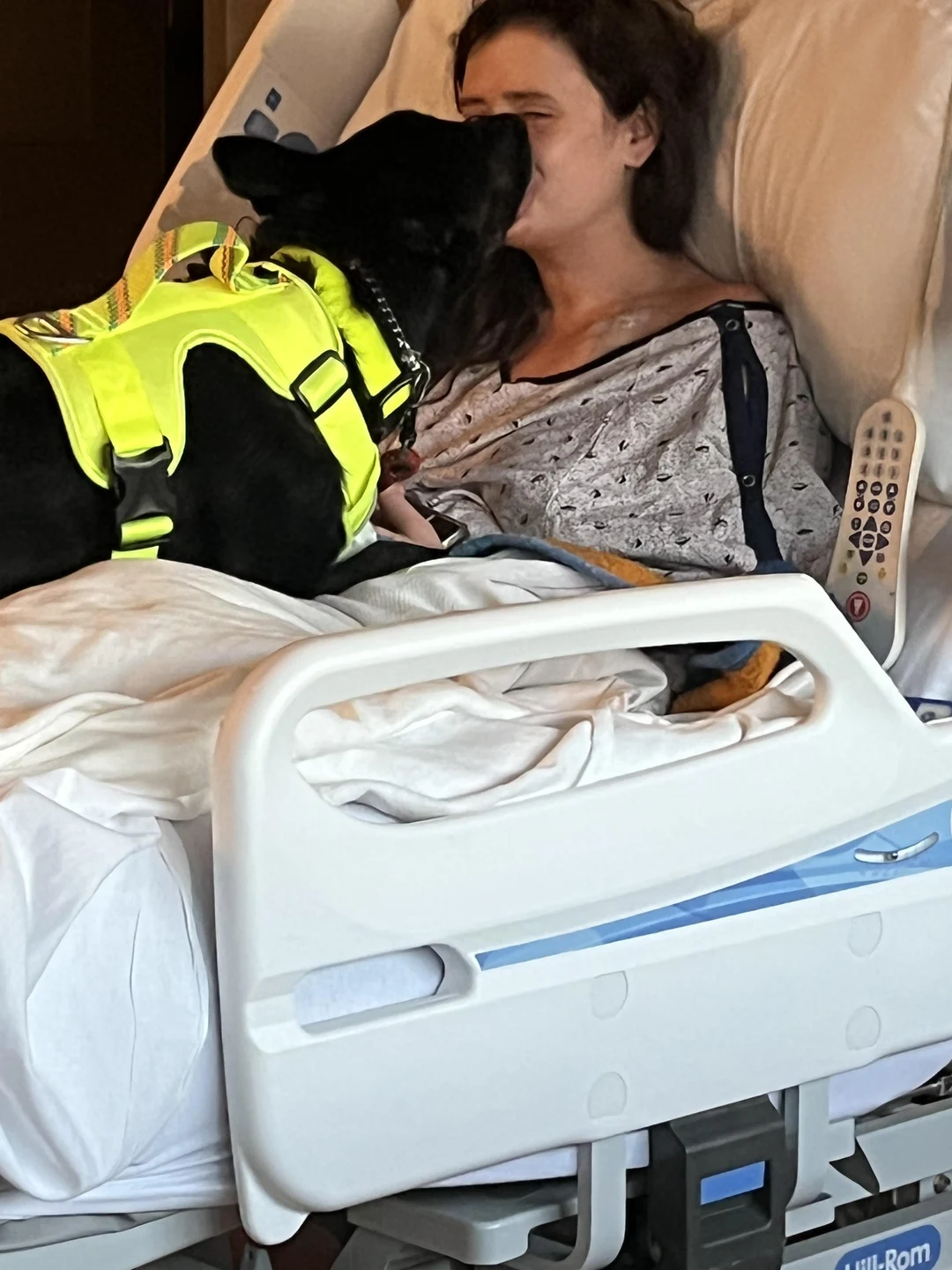 Laughter isn’t the best medicine, it’s dogs | Scrolller