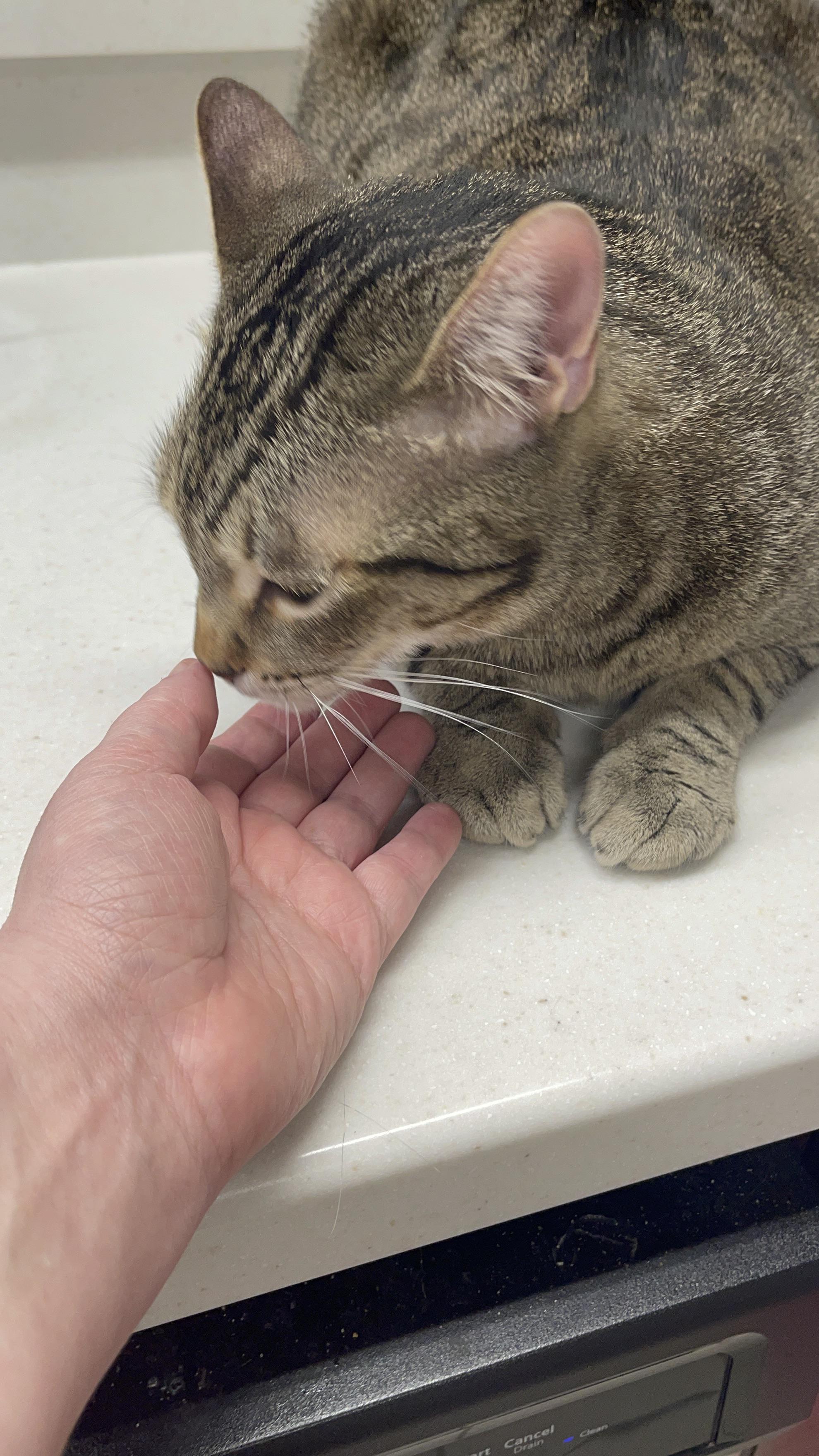 [OC] Sweet sweet Lux | Scrolller