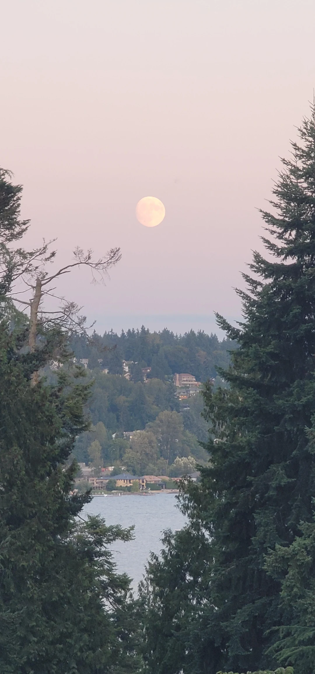 Beautiful moon rise | Scrolller