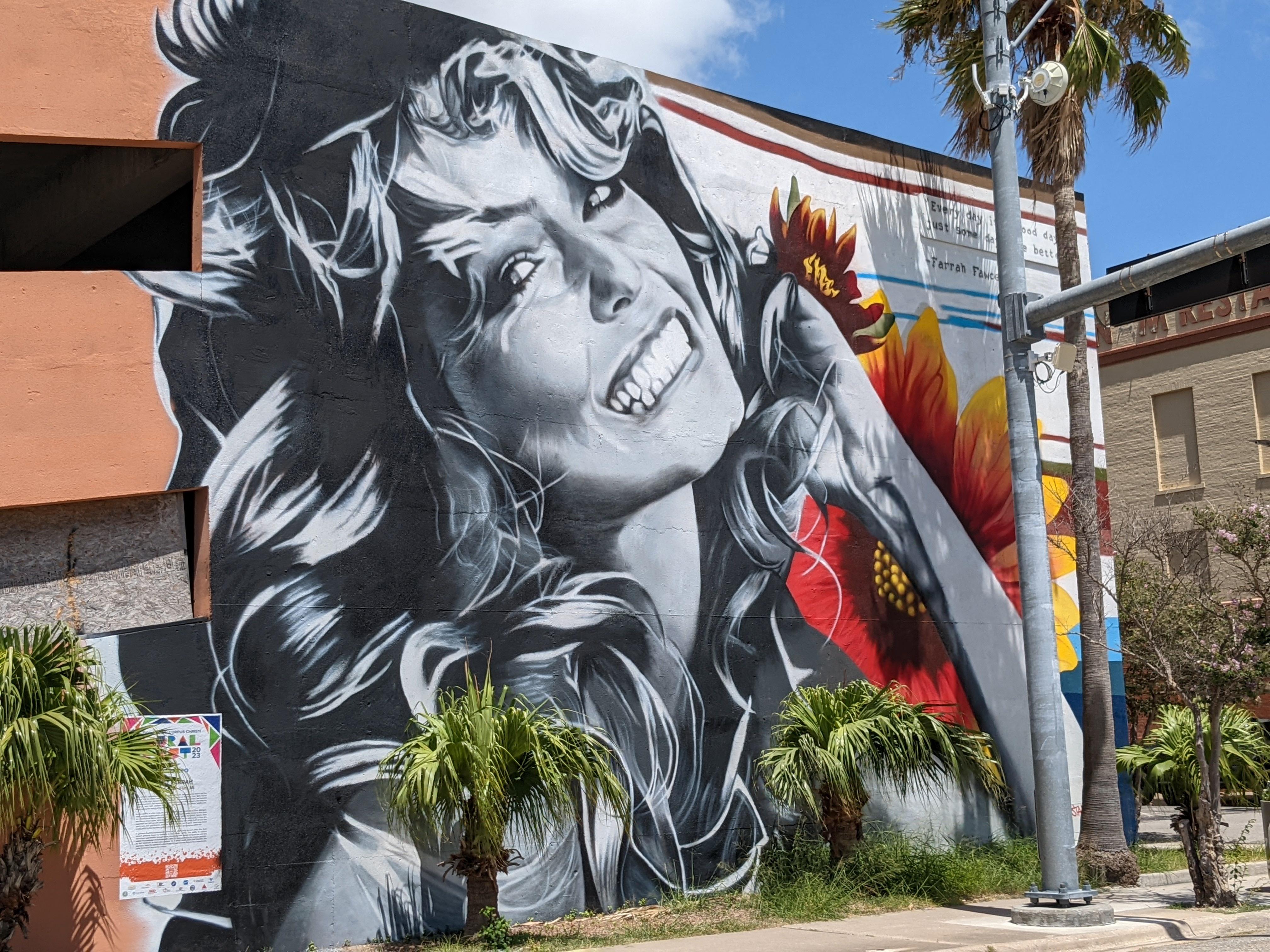 My favorite of the murals downtown. "Every day is a good day, just some days are better ...