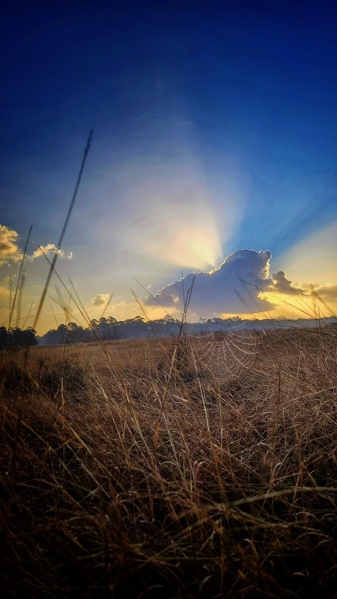 Above the fields | Scrolller