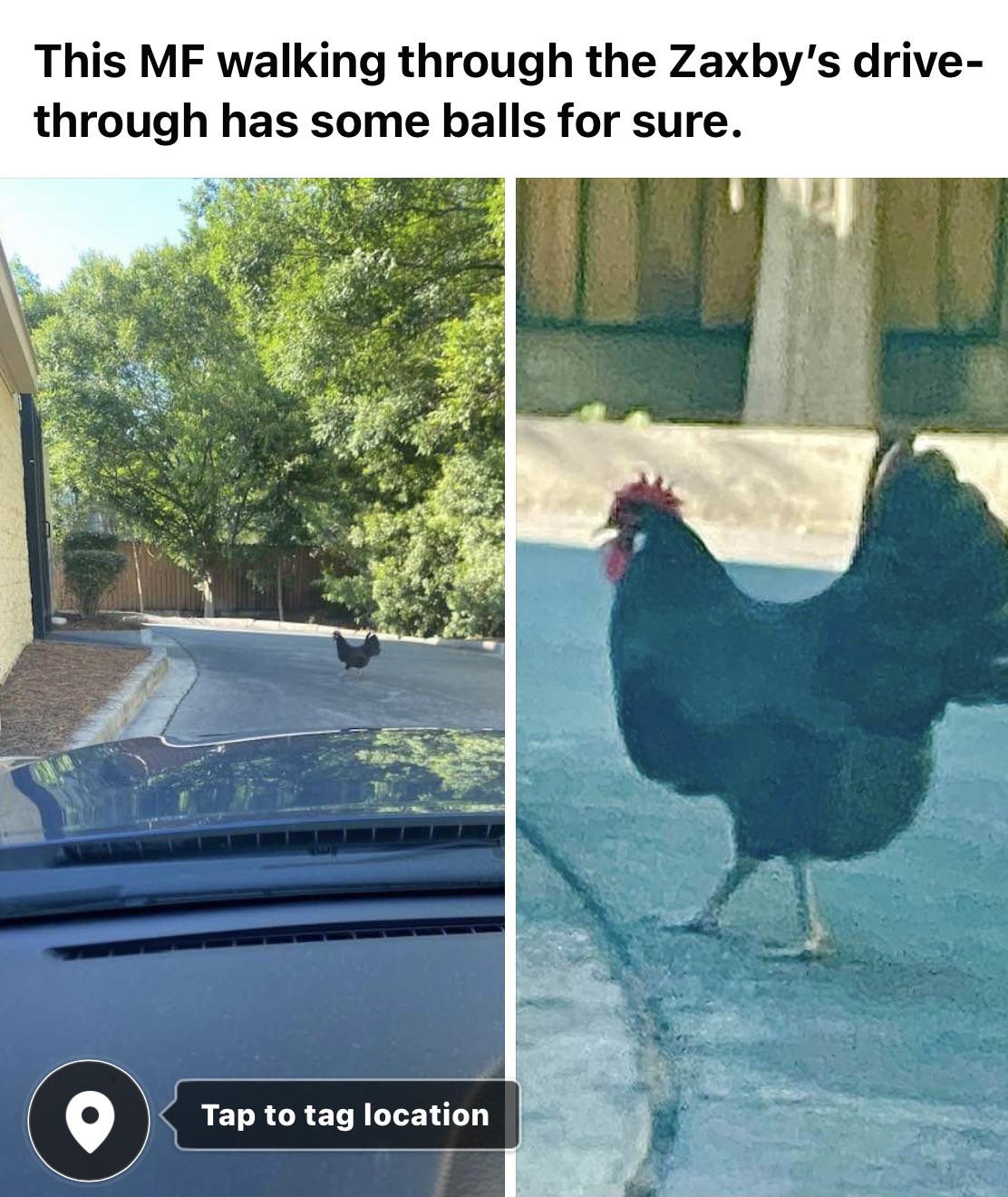 Madlad level 1000 | Scrolller