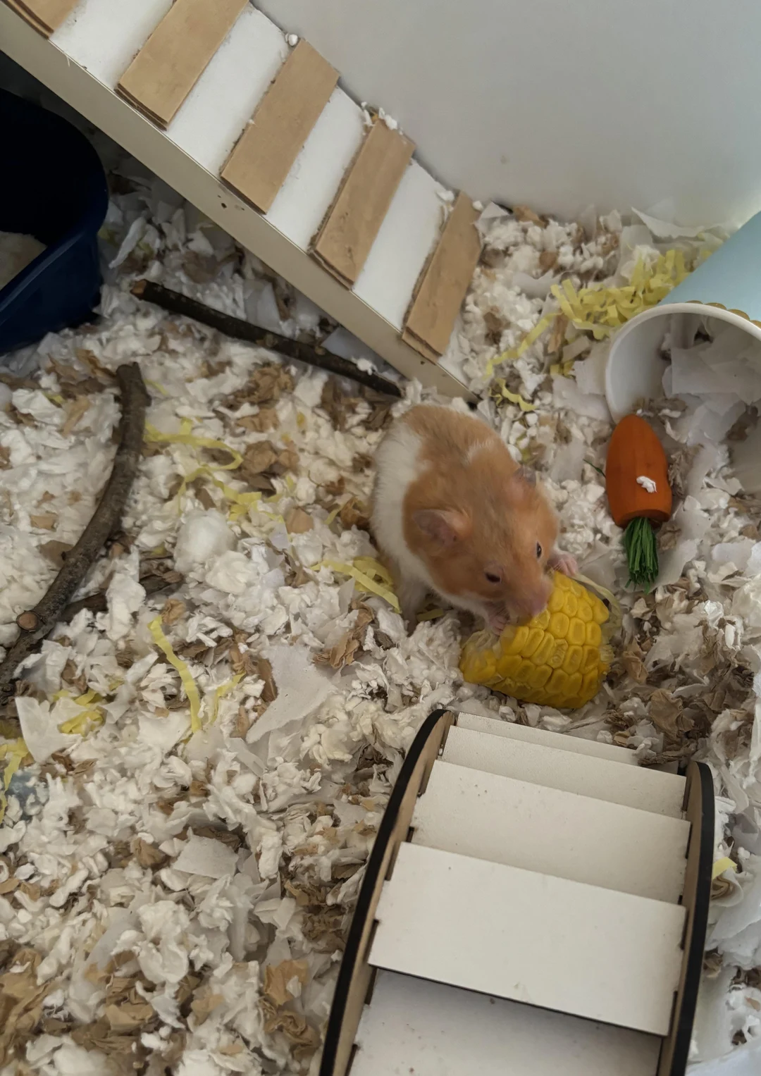 First time trying corn on the cob! | Scrolller