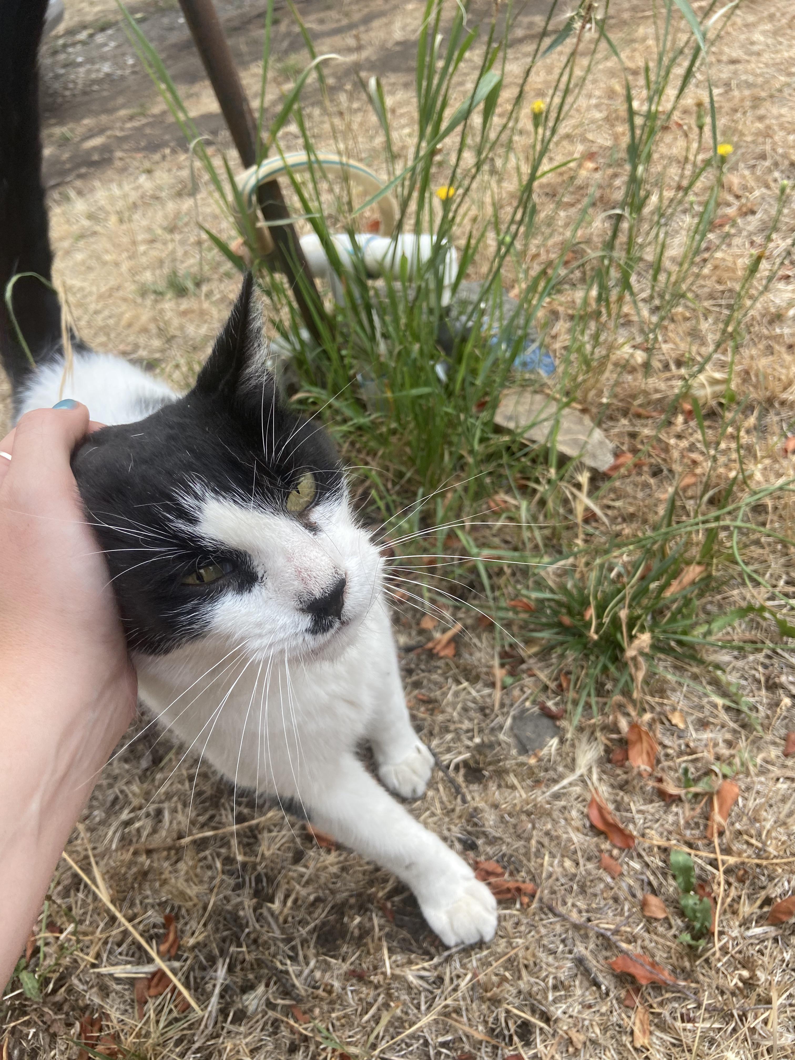 He’s got a pretty cute nose. | Scrolller