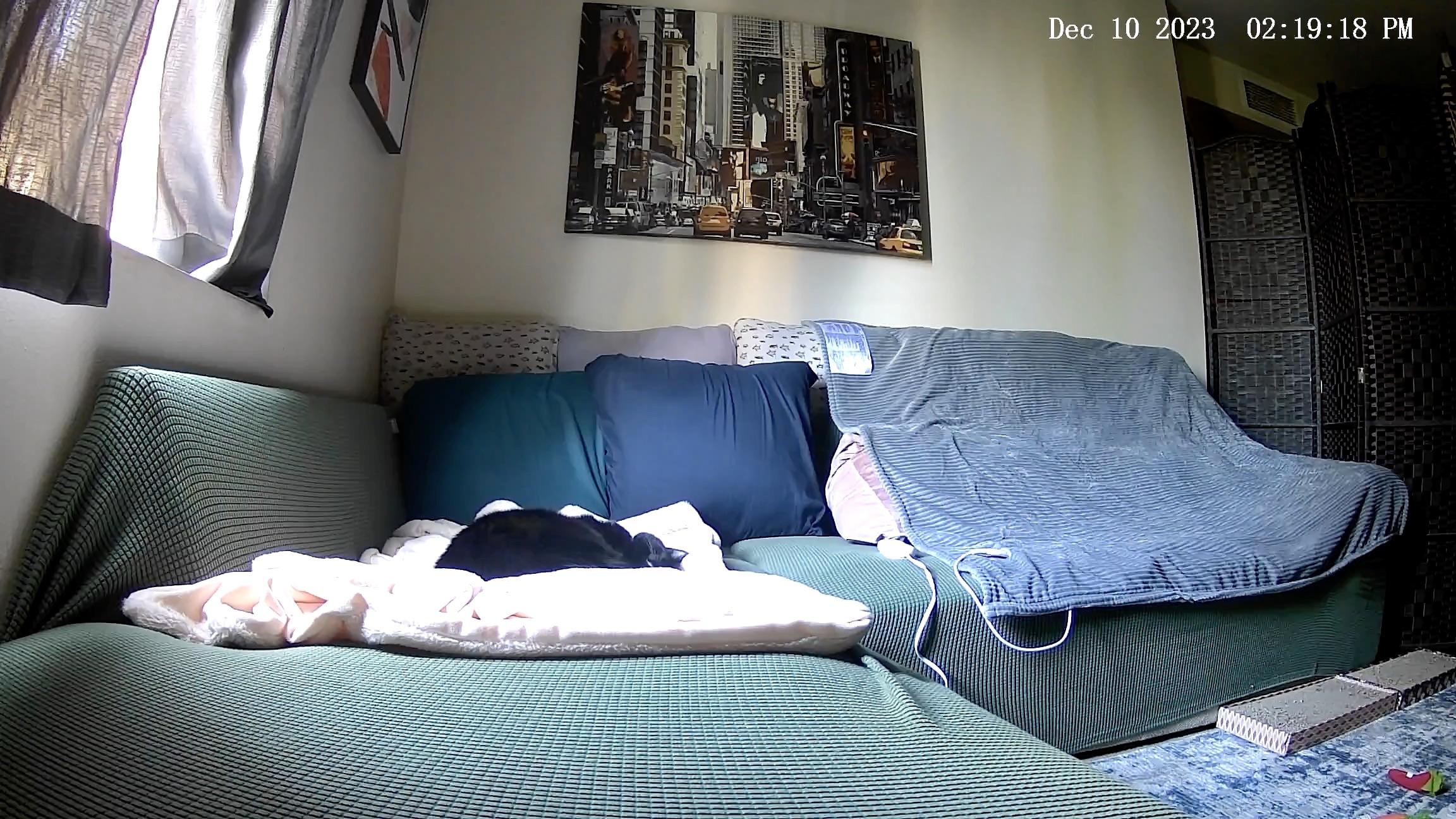 Sleeping Void | Scrolller