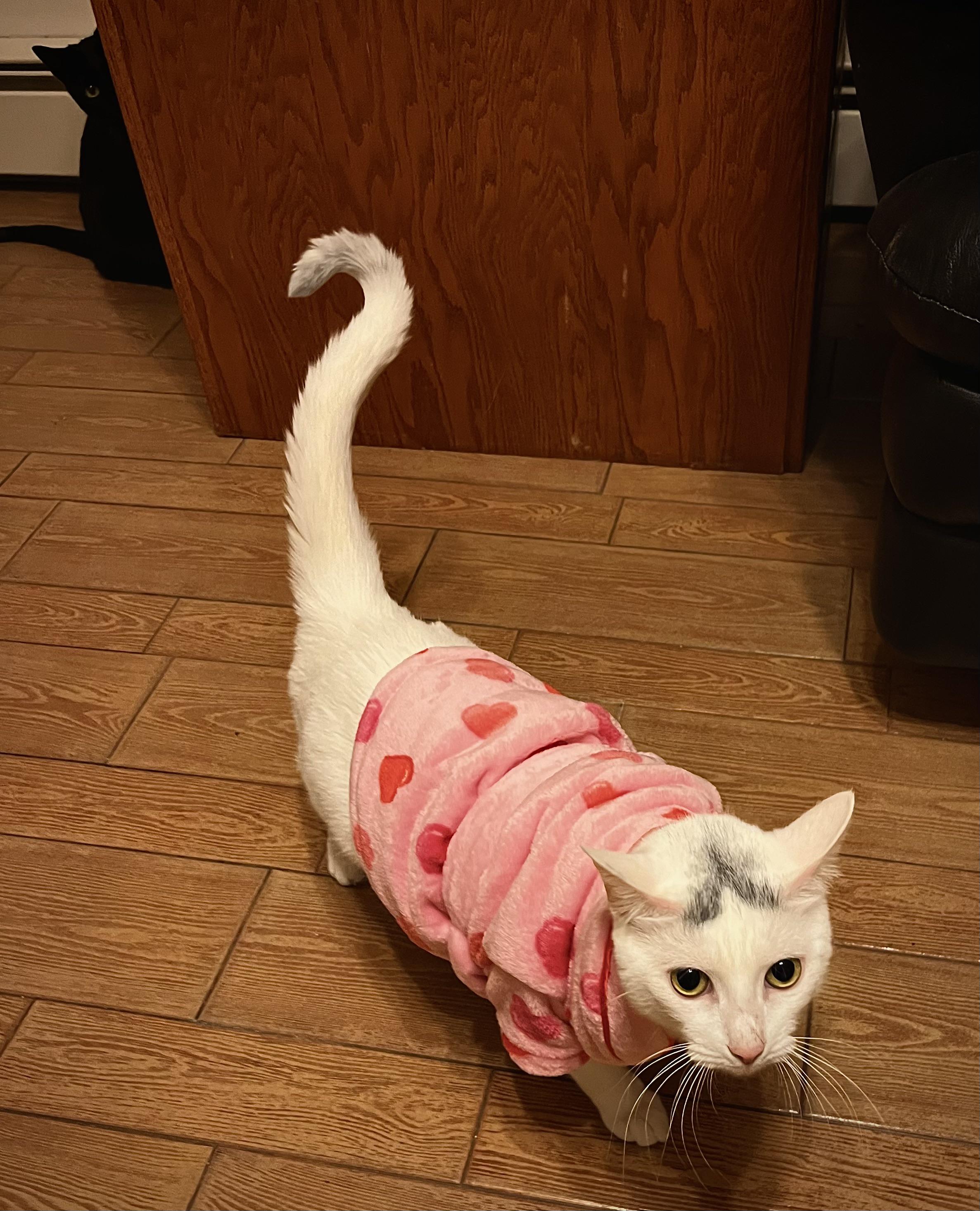 Yes, there is a void in this picture. yes, they’re called voids for a reason 😅 | Scrolller